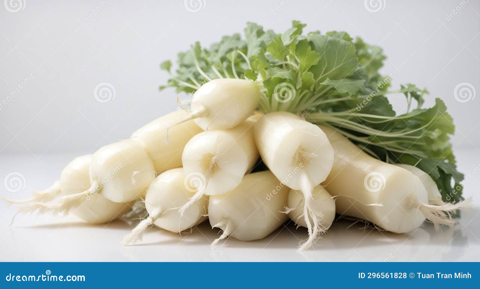 Daikon stock photo. Image of curry, flower, breakfast - 296561828