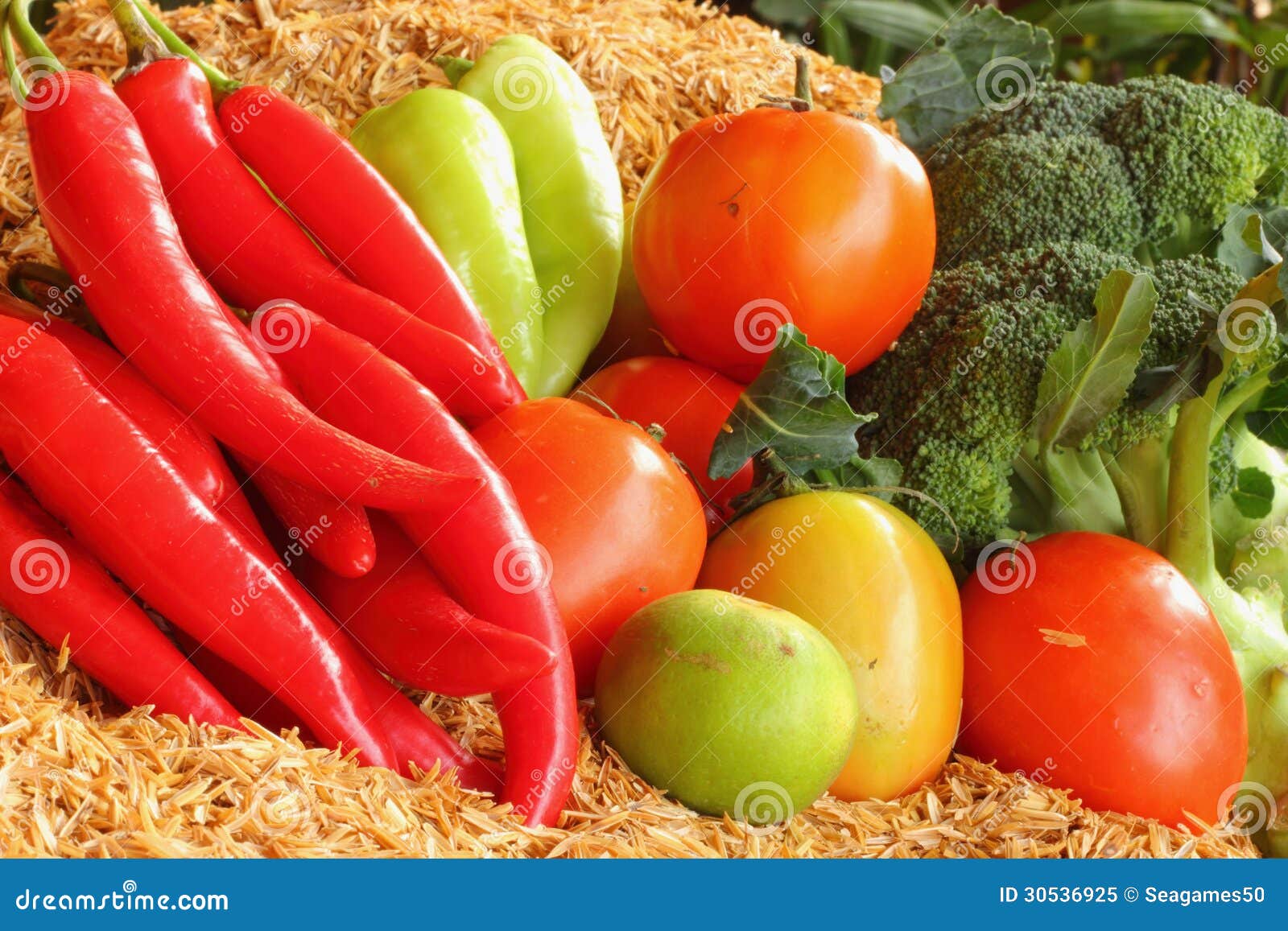 Fresh vegetable stock image. Image of group, brown, market - 30536925