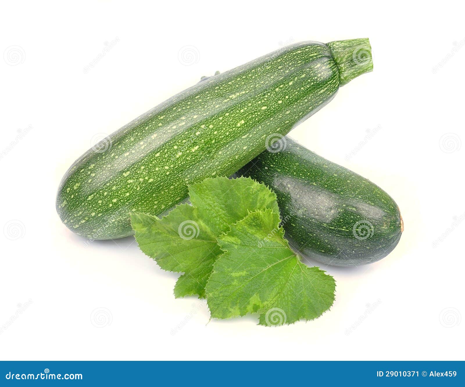 Fresh vegetable marrow stock image. Image of nature, agriculture - 29010371
