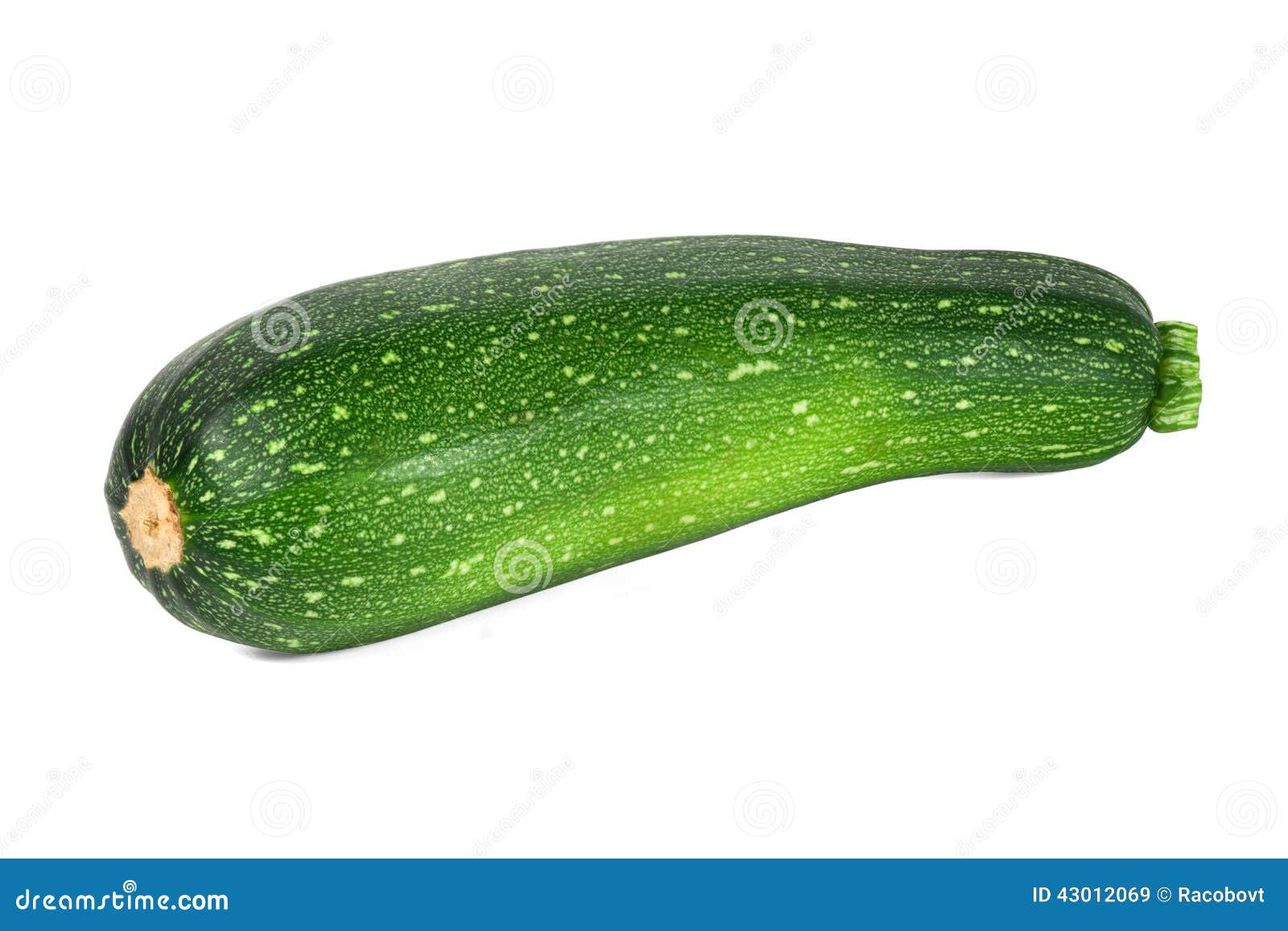 Fresh vegetable marrow stock image. Image of marrow, fleshy - 43012069