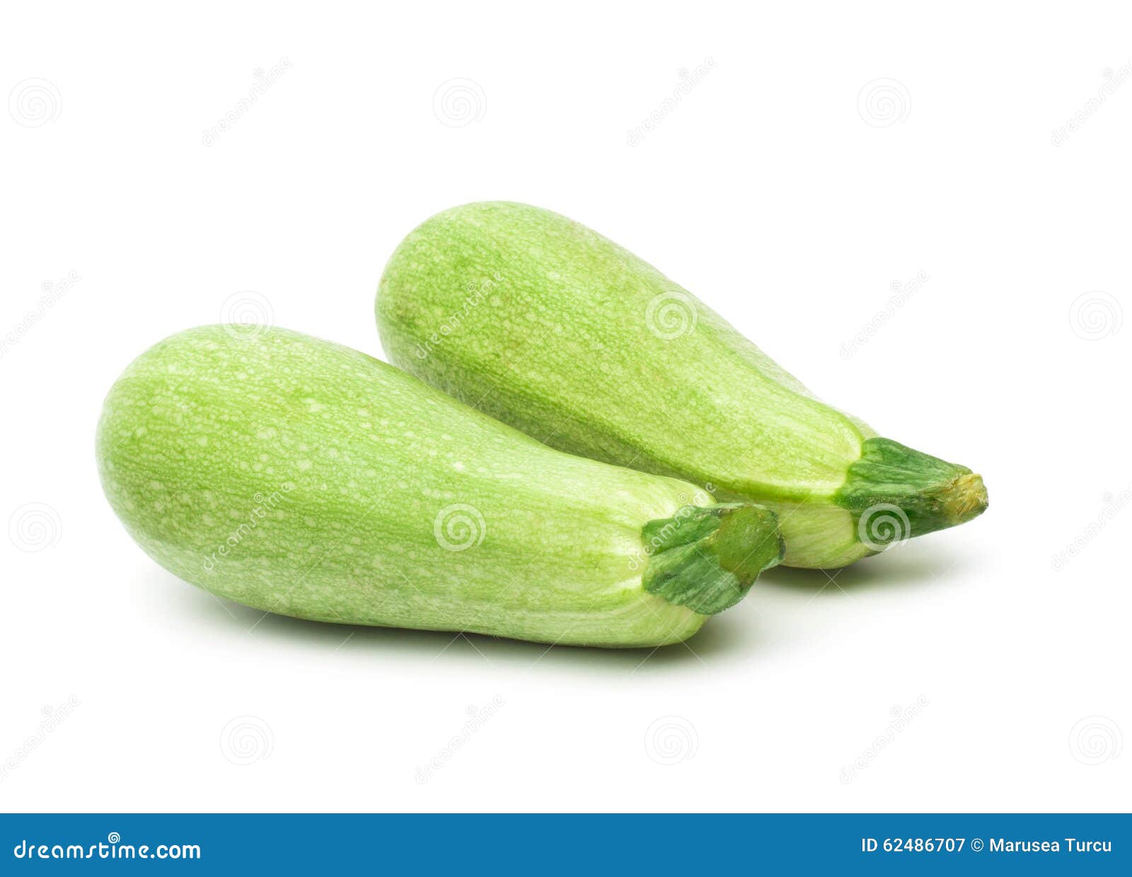 Fresh vegetable marrow stock image. Image of nature, harvest - 62486707