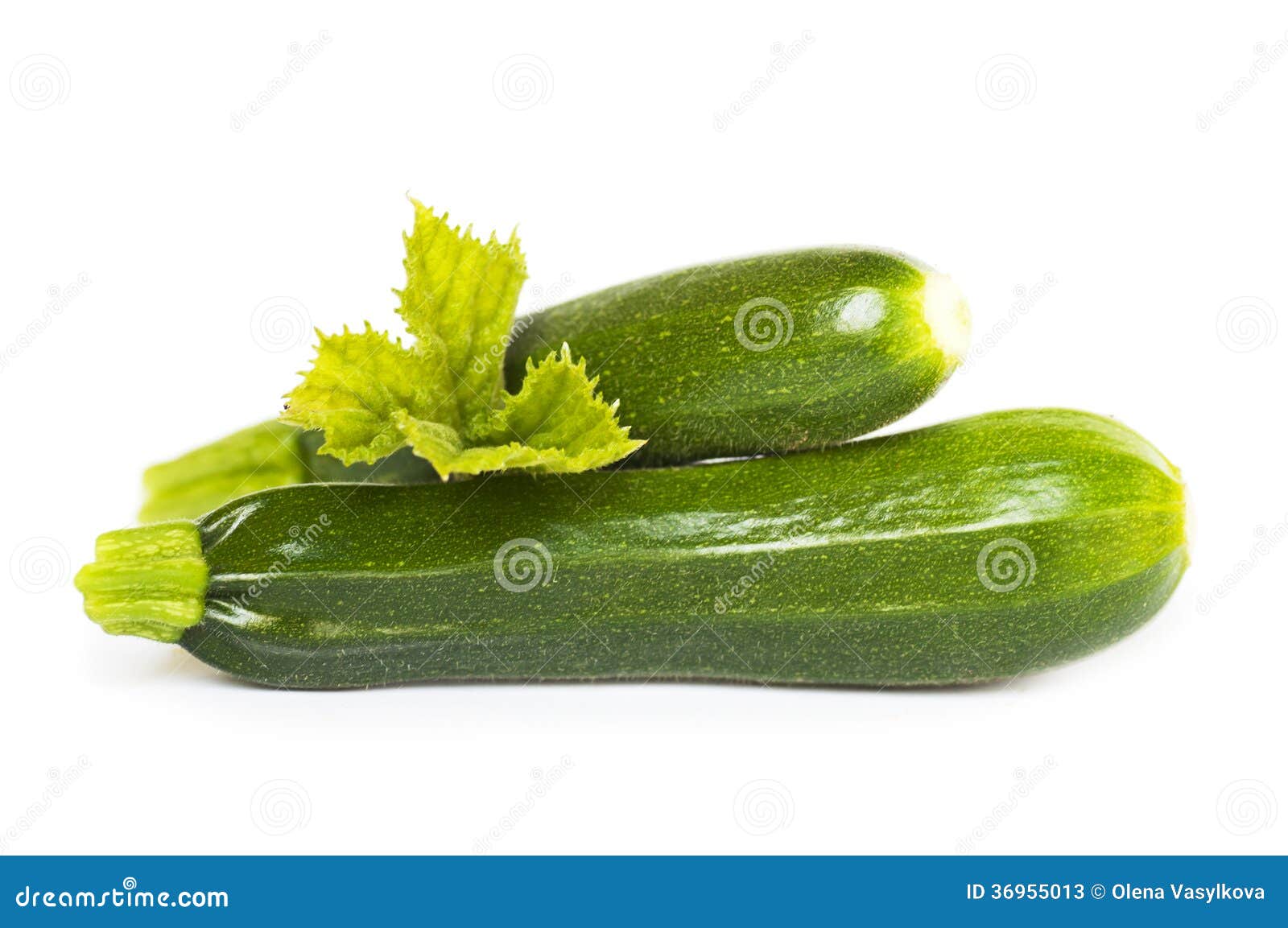 Fresh vegetable marrow stock image. Image of clipping - 36955013
