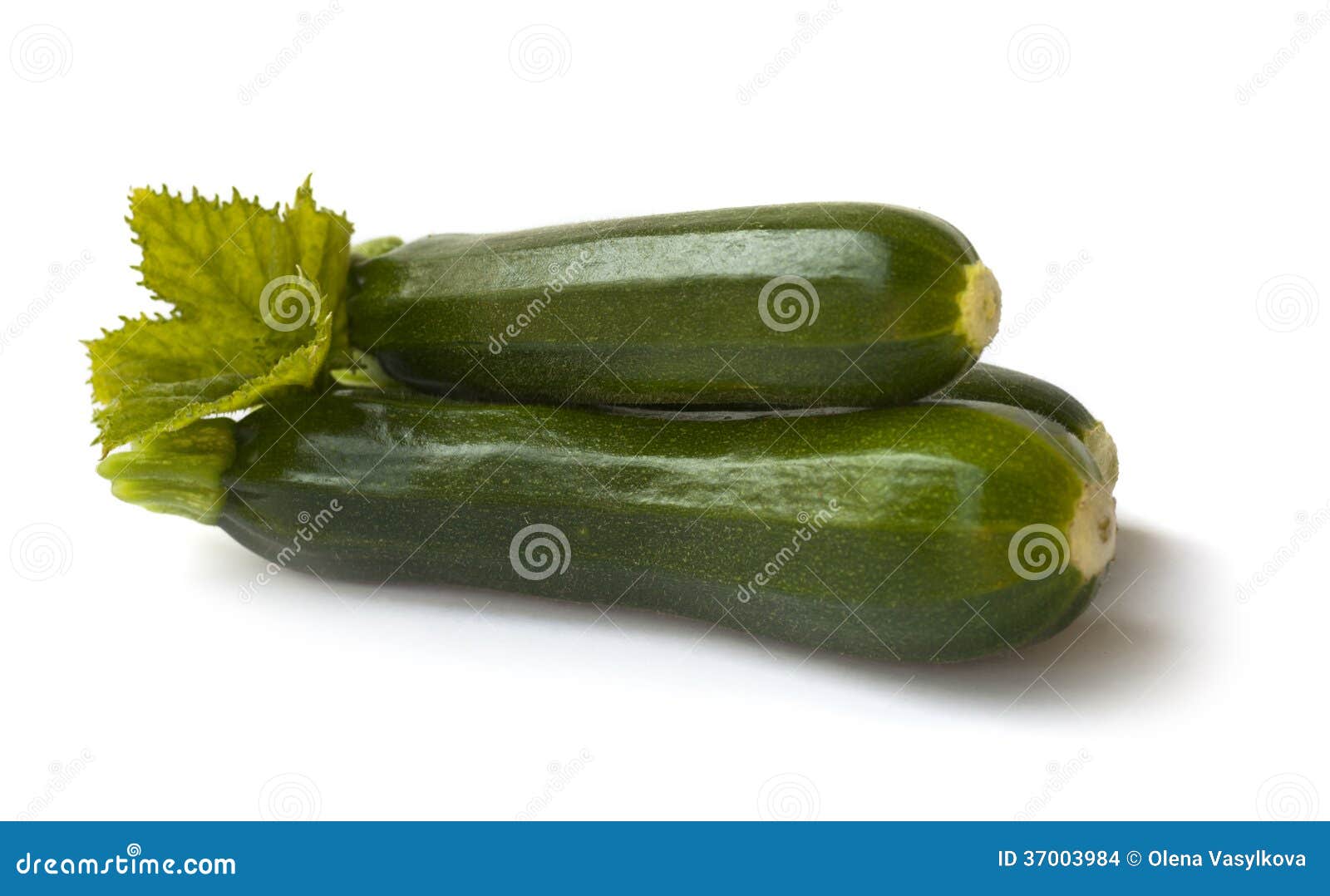 Fresh Vegetable Marrow Vegetable Stock Images - 9,971 Photos