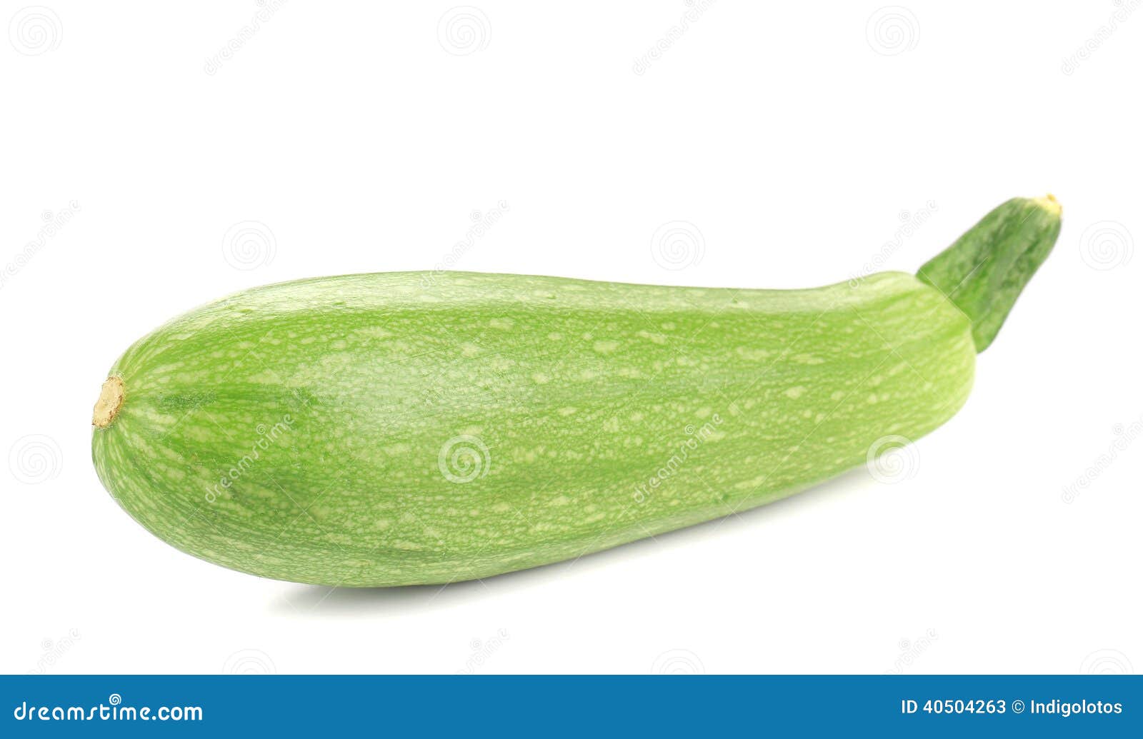 Fresh vegetable marrow. stock image. Image of nutritious - 40504263