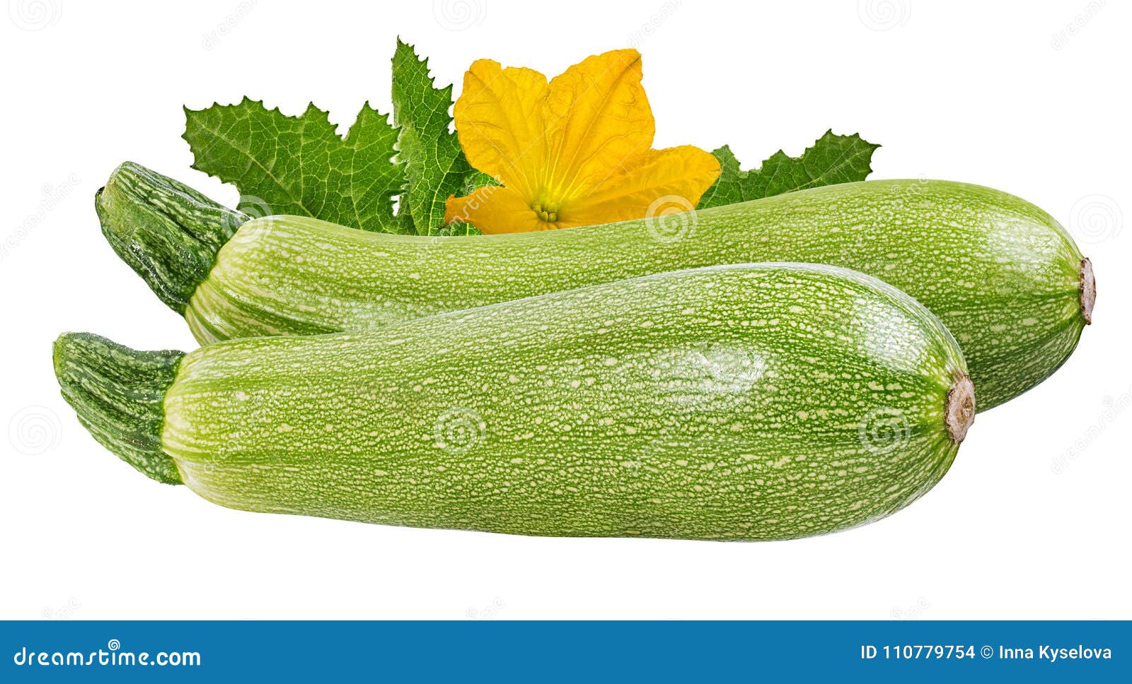 Fresh Vegetable Marrow Isolated on White Stock Photo - Image of ...