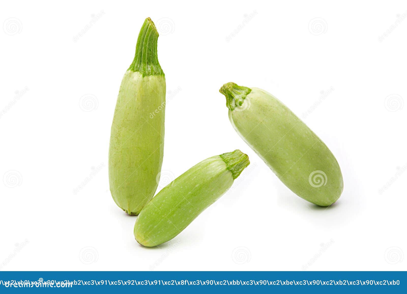 Fresh Vegetable Marrow are Standing Stock Image - Image of vegan, fresh ...