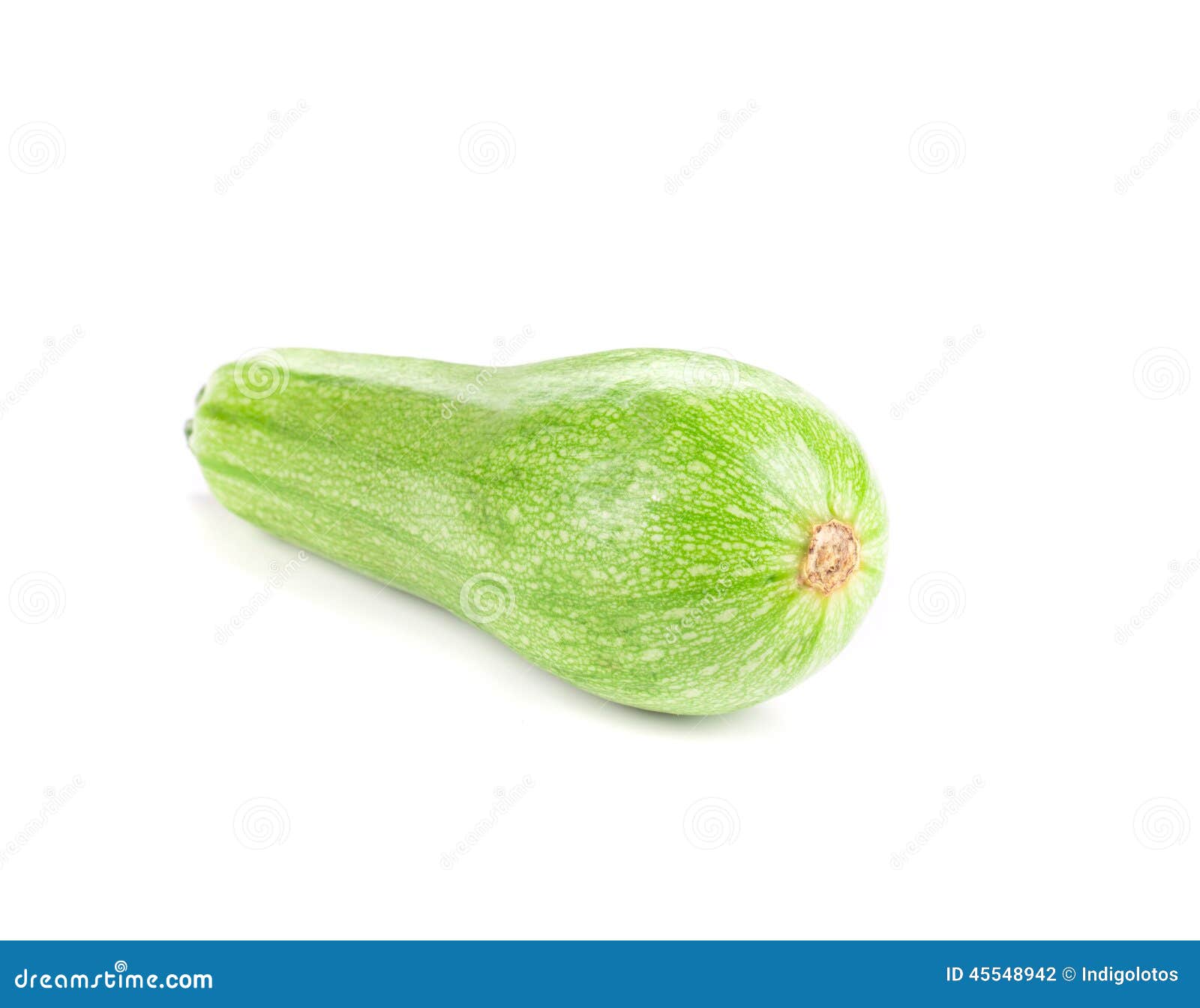 Fresh vegetable marrow. stock photo. Image of white, diet - 45548942