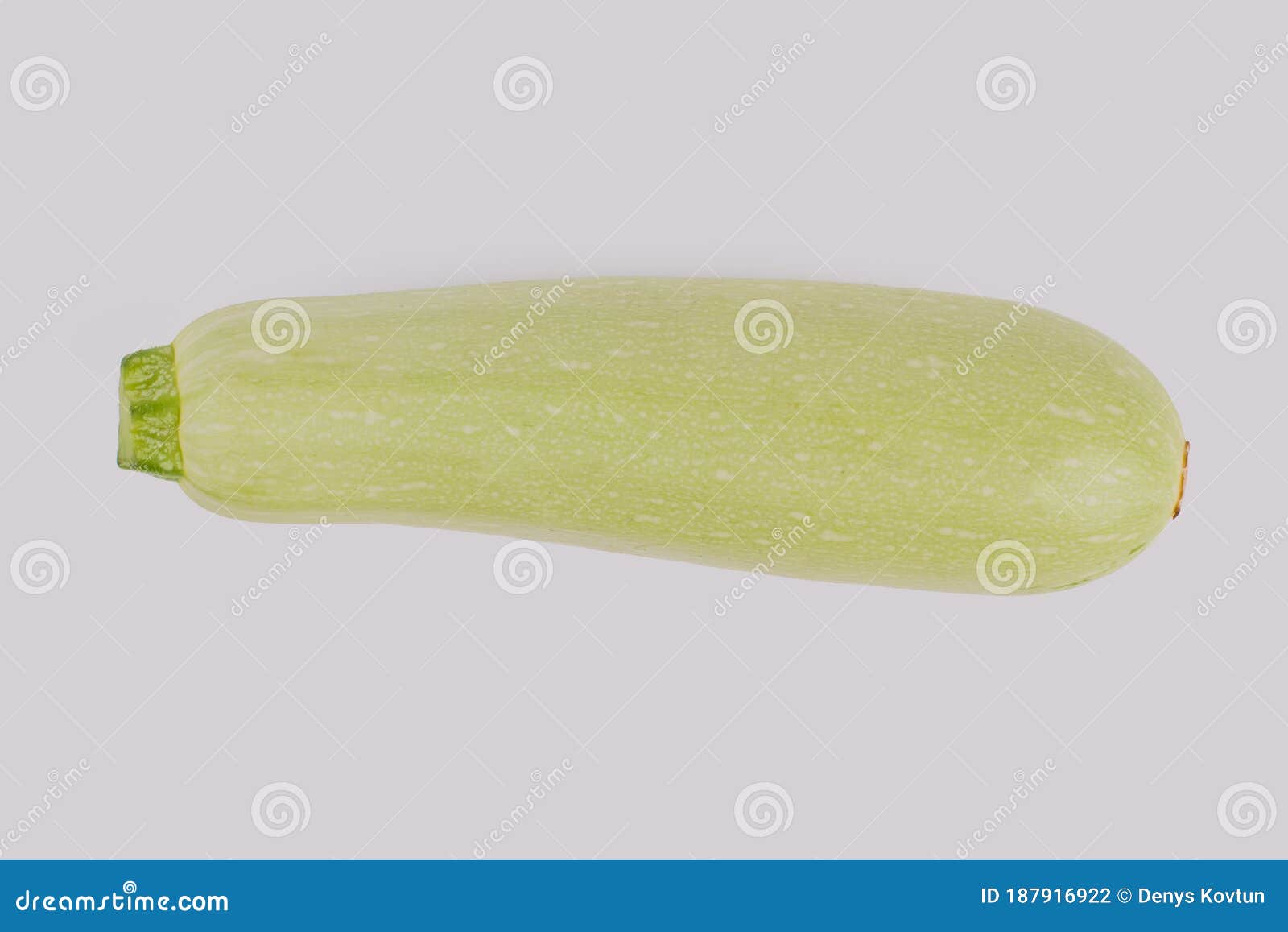 Fresh vegetable marrow. stock photo. Image of bright - 187916922