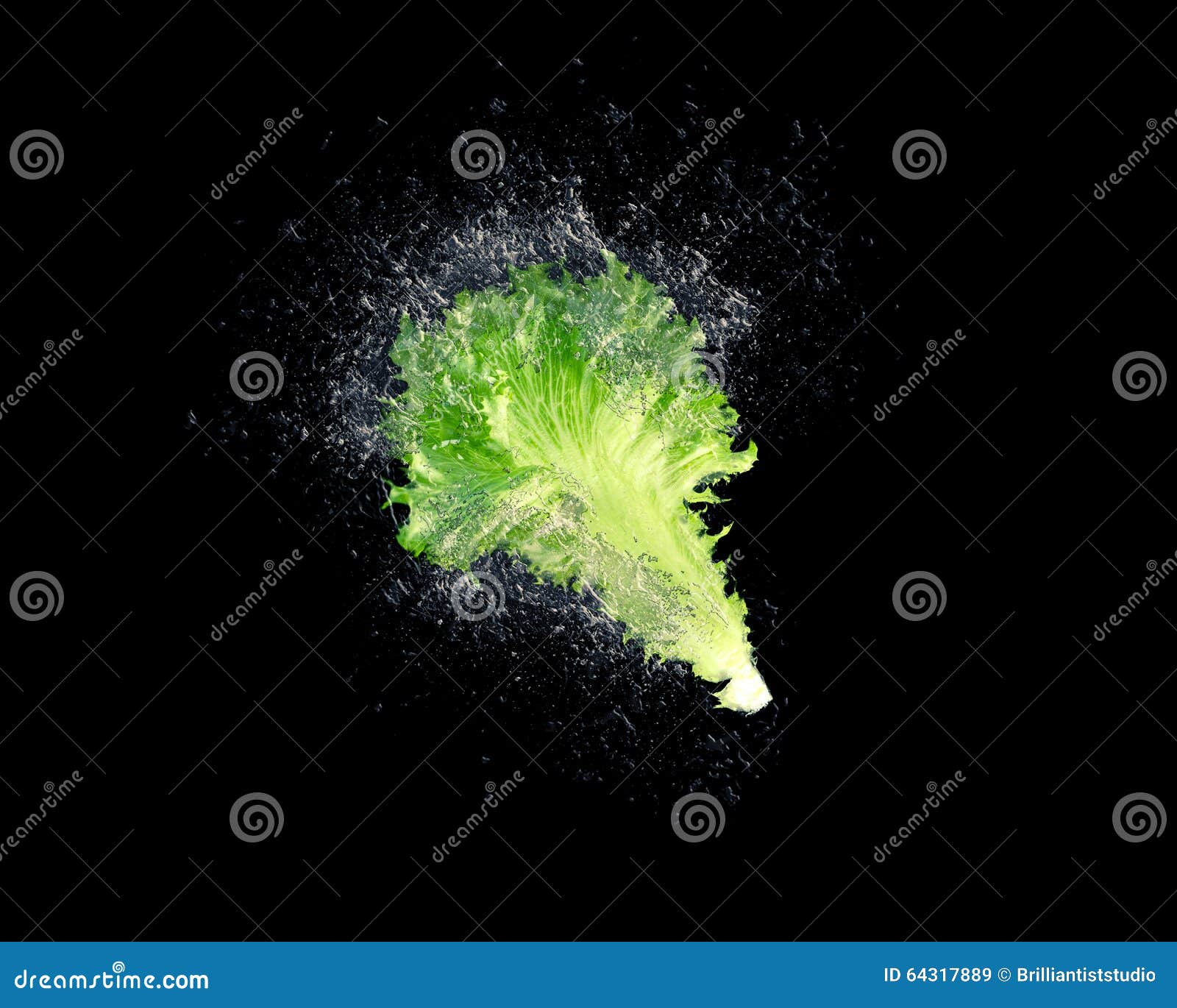 Fresh Vegetable with Water Splash Float in the Air with Elegance Stock ...