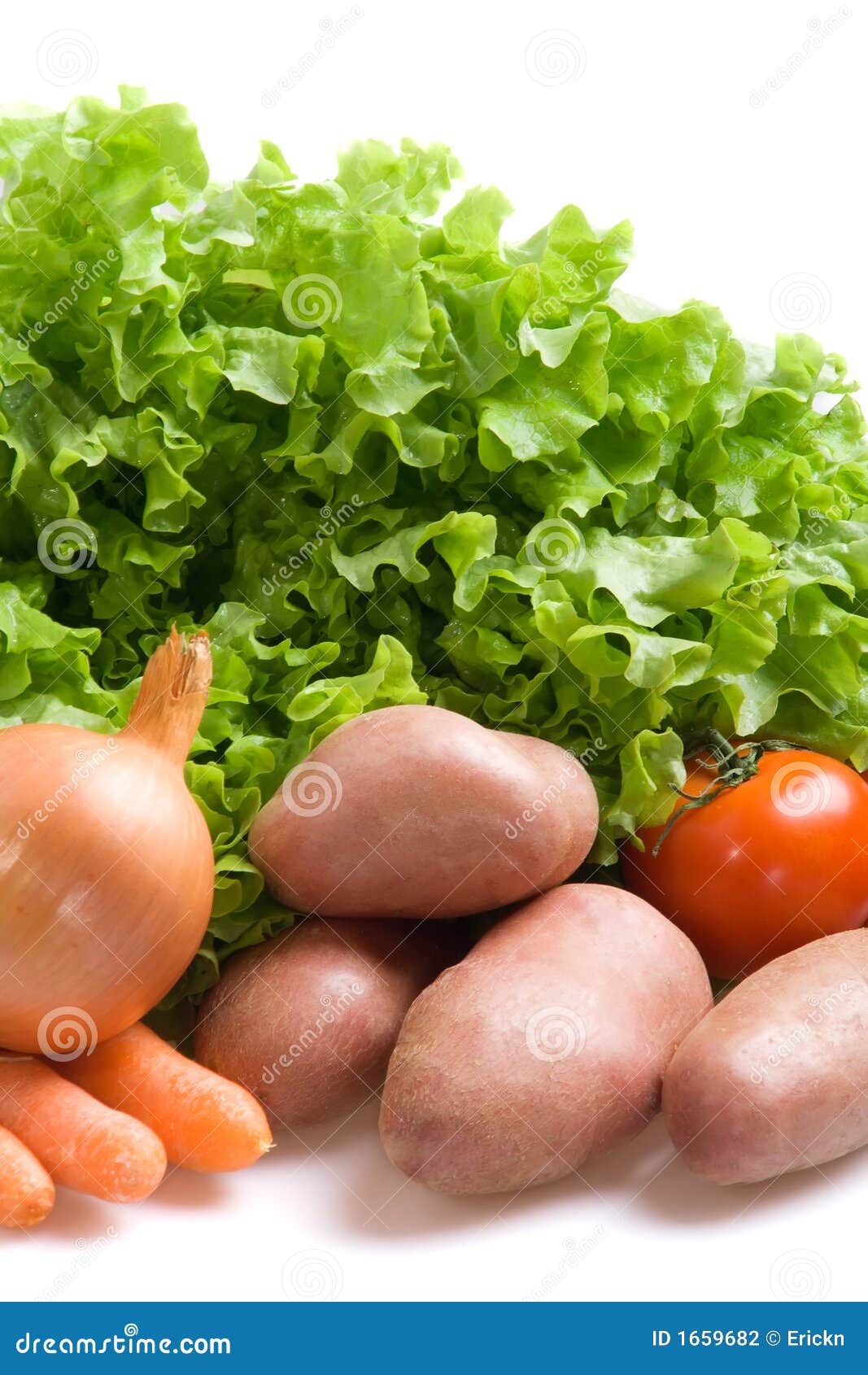 Fresh vegetables stock photo. Image of carrot, batavian - 1659682
