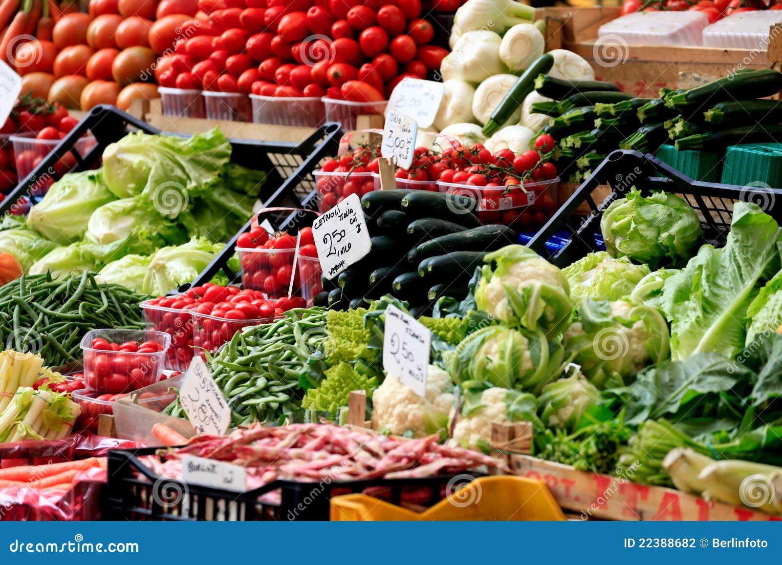 Fresh Vegetables stock photo. Image of lettuce, abundant - 22388682