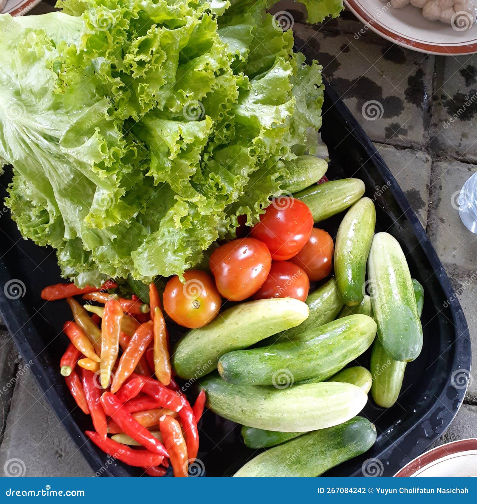 Fresh Vegetables All in One Stock Photo - Image of seafood, lunch ...