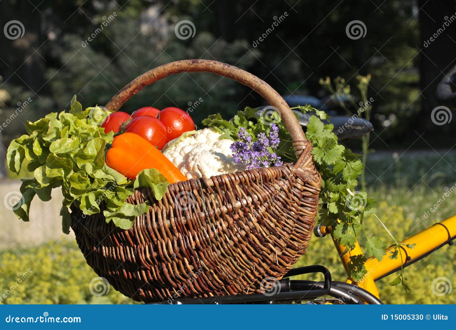 Fresh Vegetables in Basket stock photo. Image of ecologic - 15005330