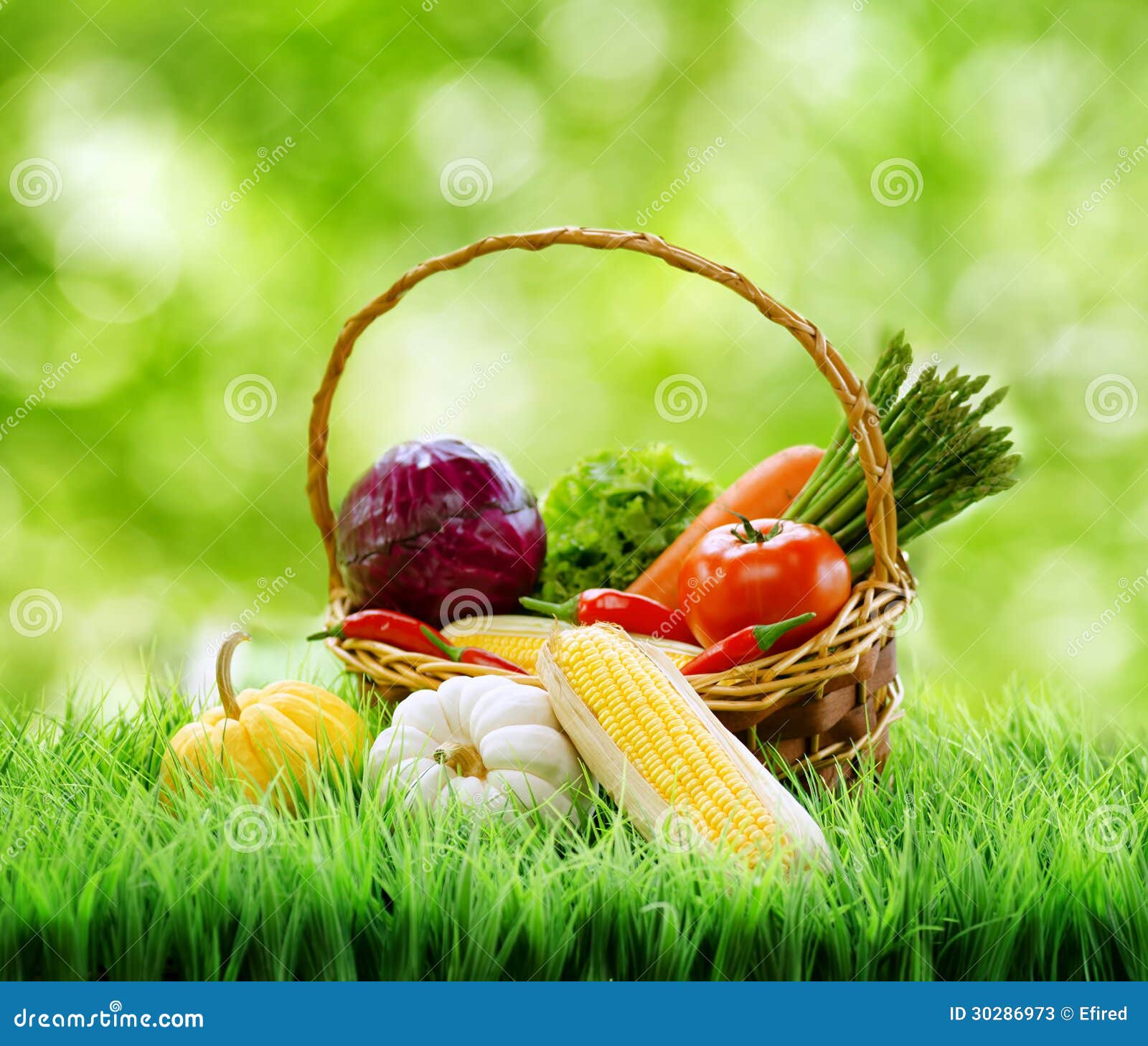 Fresh Vegetables in the Basket on Green Grass. Stock Image - Image of ...