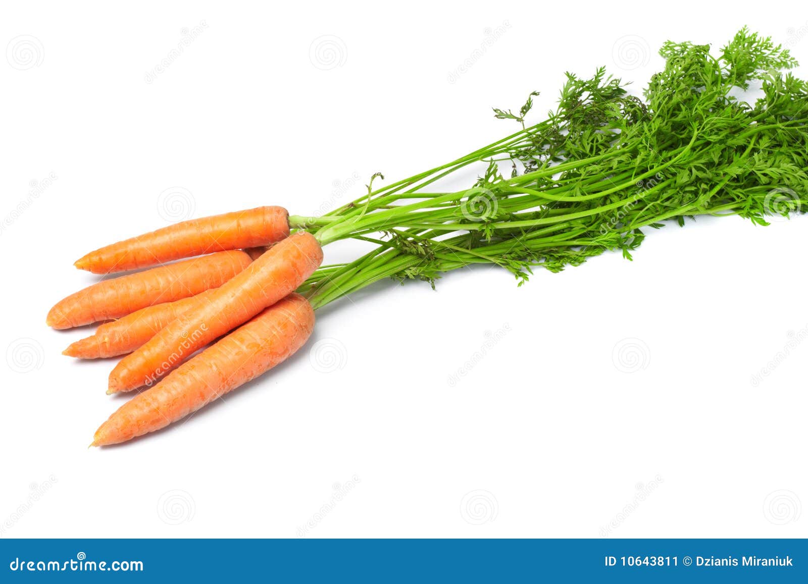 Fresh Vegetables carrots stock image. Image of health - 10643811