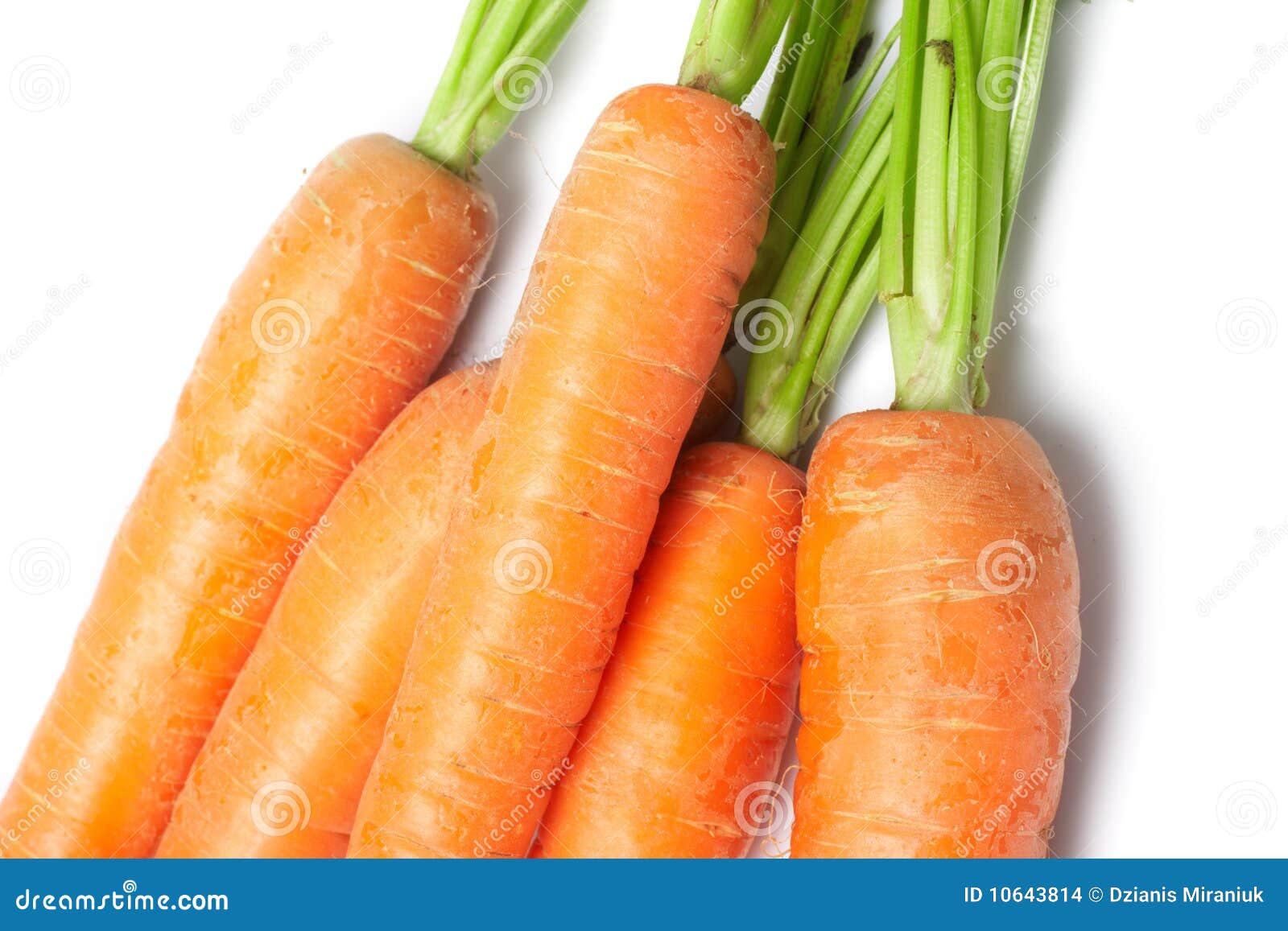 Fresh Vegetables carrots stock photo. Image of carrots - 10643814