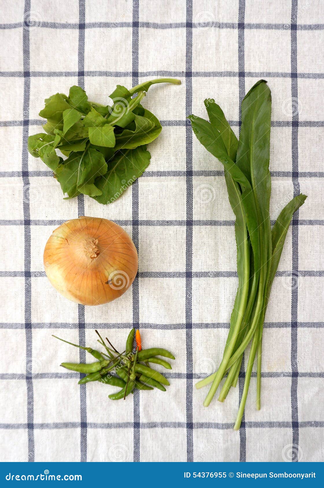 Fresh Vegetables on the Checker Board Facric Stock Image - Image of ...