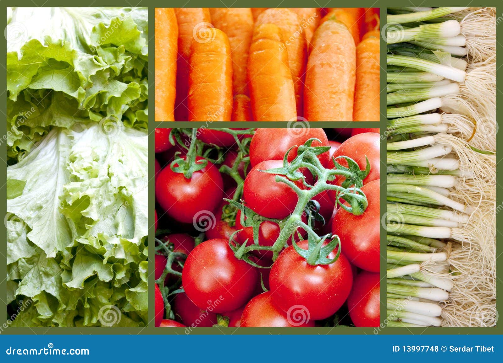 Fresh vegetables collage stock photo. Image of green - 13997748