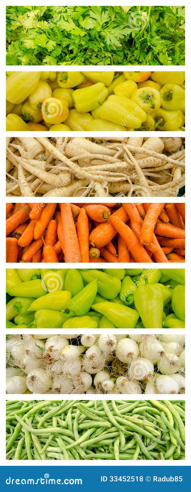 Fresh Vegetables Collection Set Stock Photo - Image of carrots, salad ...