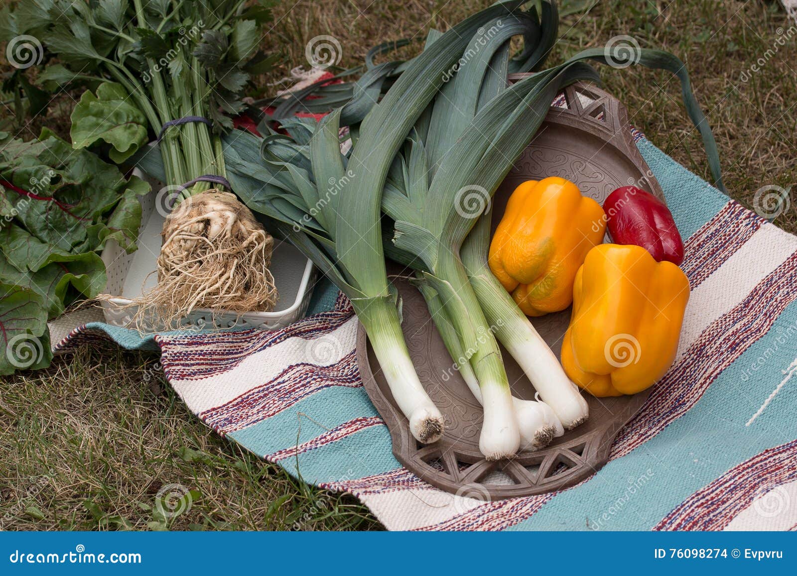 Fresh Vegetables Crop Lying on a Mat Stock Photo - Image of green ...