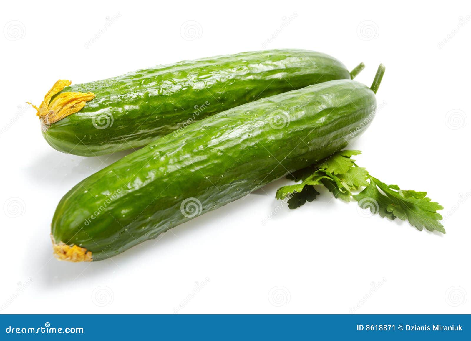 Fresh Vegetables, cucumber stock image. Image of vegetables - 8618871