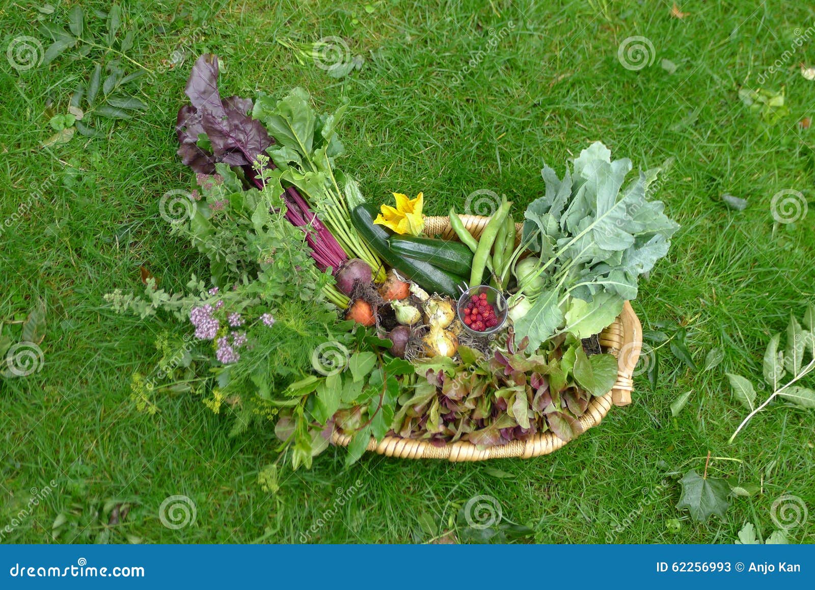 Fresh Vegetables from the Garden, the Netherlands Stock Image - Image ...