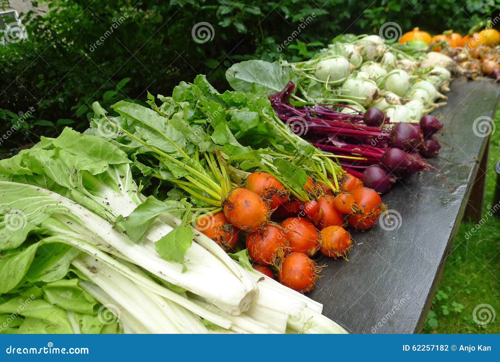 Fresh Vegetables from the Garden, the Netherlands Stock Photo - Image ...