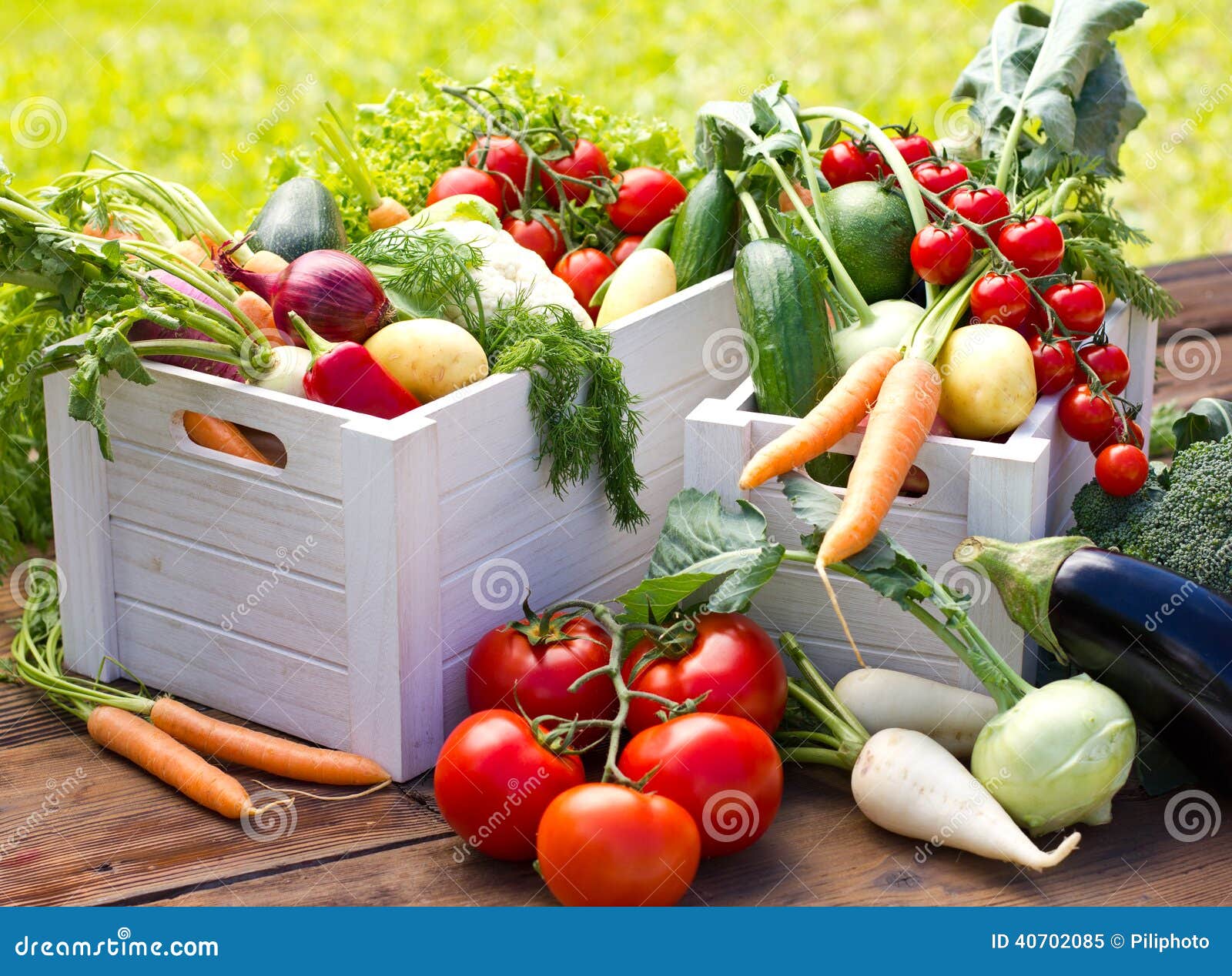 Fresh Vegetables in the Garden Stock Image - Image of food, eggplant ...
