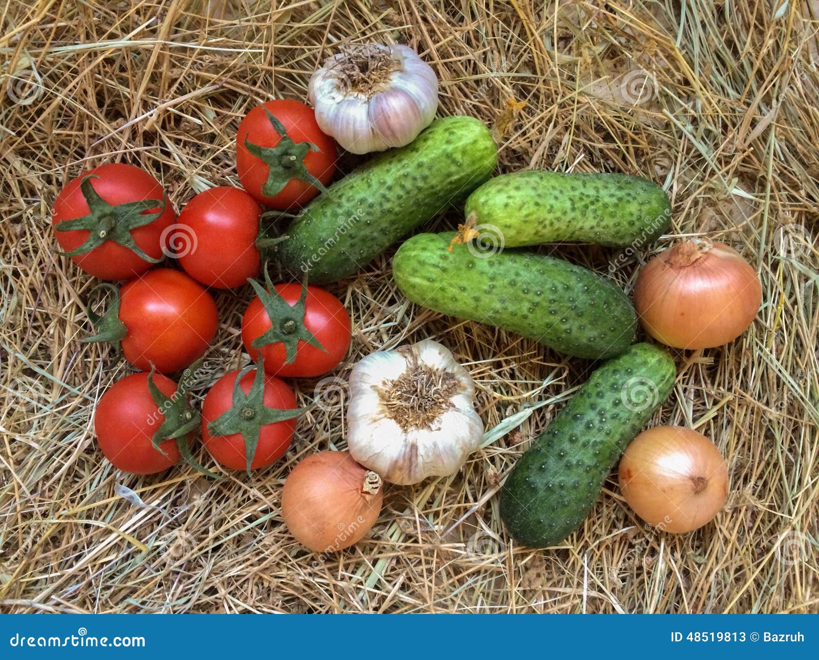 Fresh vegetables on hay stock image. Image of kitchen - 48519813