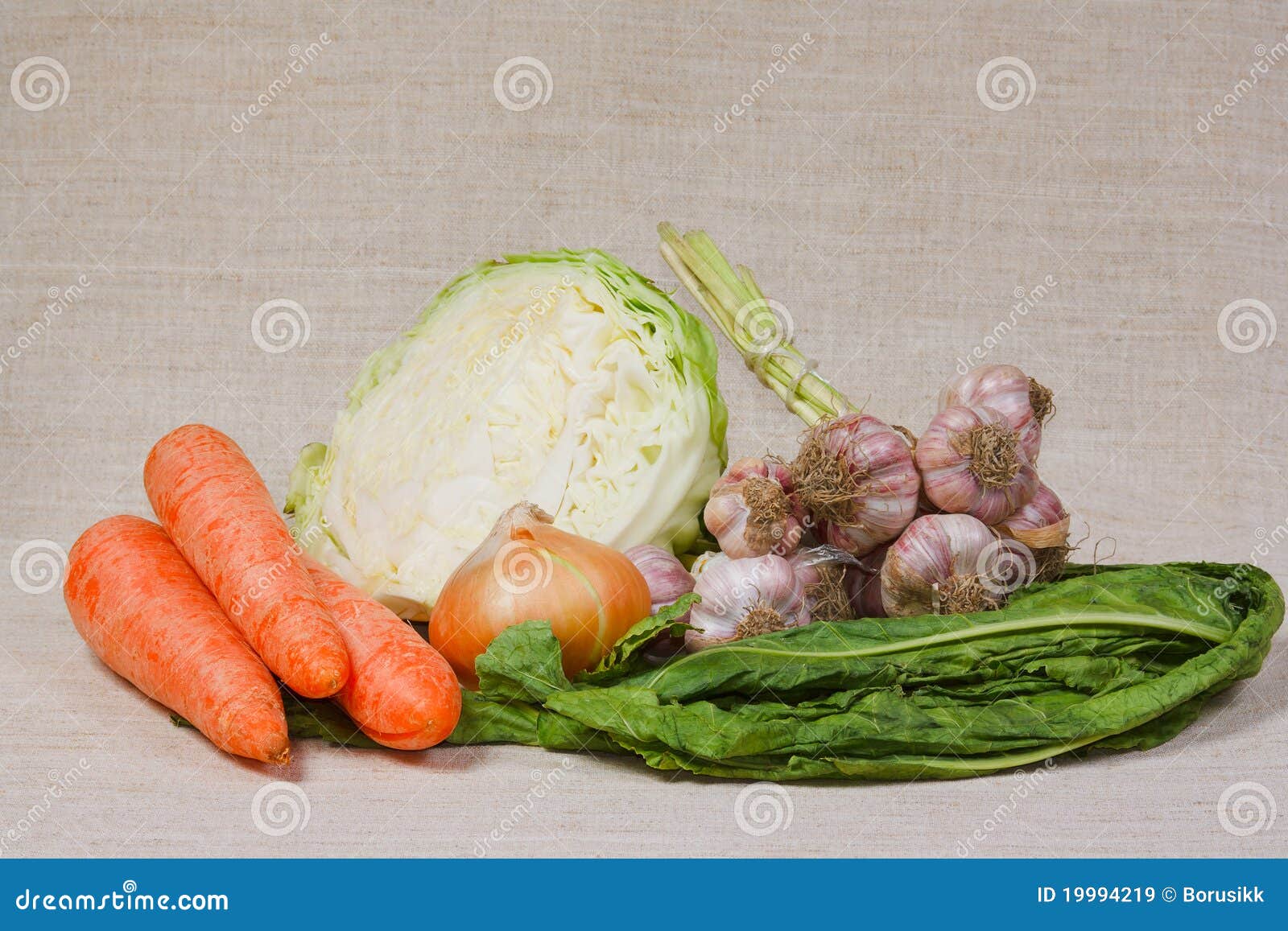 The Fresh Vegetables from Kitchen Garden Stock Image - Image of fresh ...