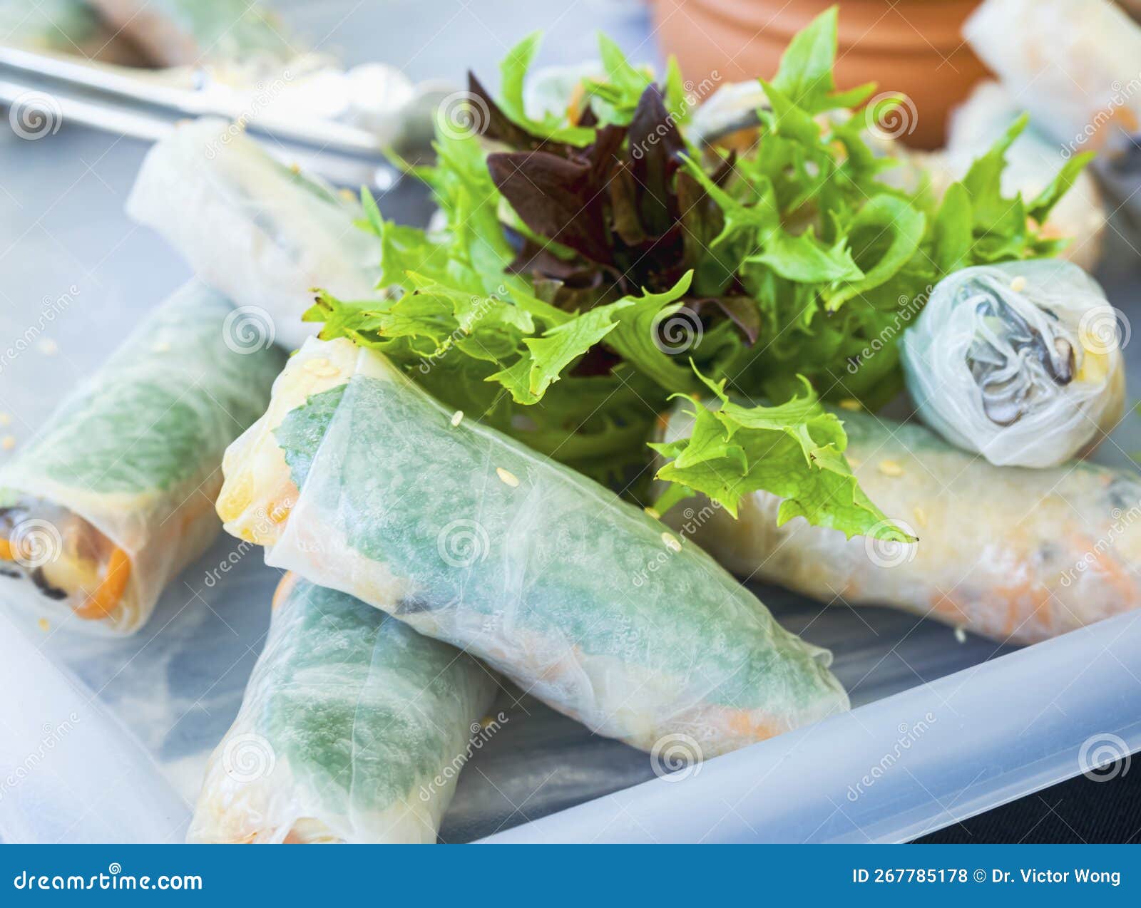 Fresh Vegetables and Other Ingredients Wrapped in Thin Rice Paper Stock ...