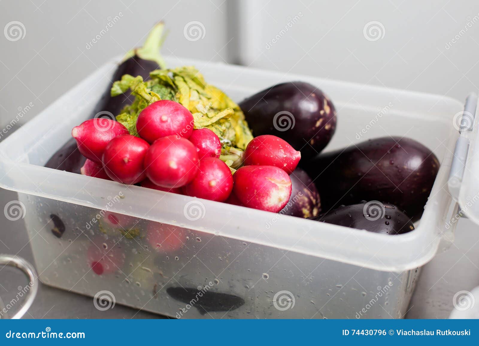 Fresh Vegetables in a Plastic Container Stock Photo - Image of ...