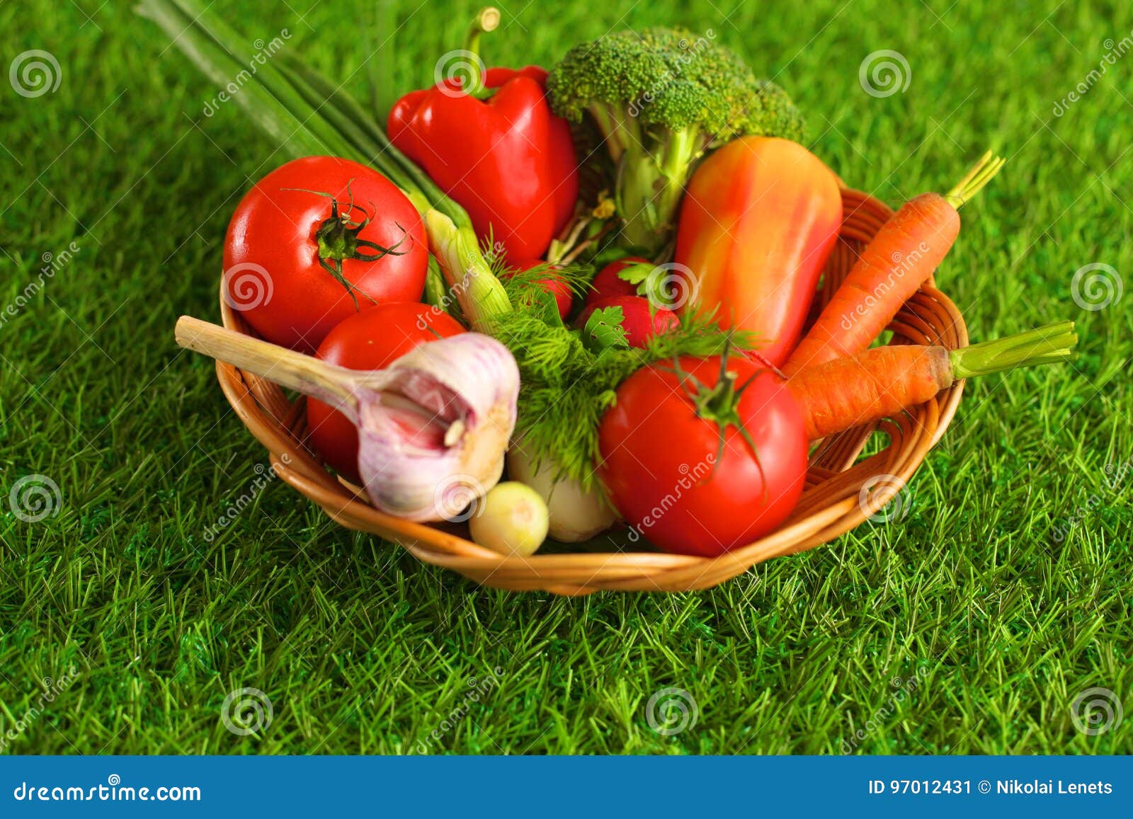 Fresh Vegetables in a Plate on the Grass. Healthy Food Stock Image ...