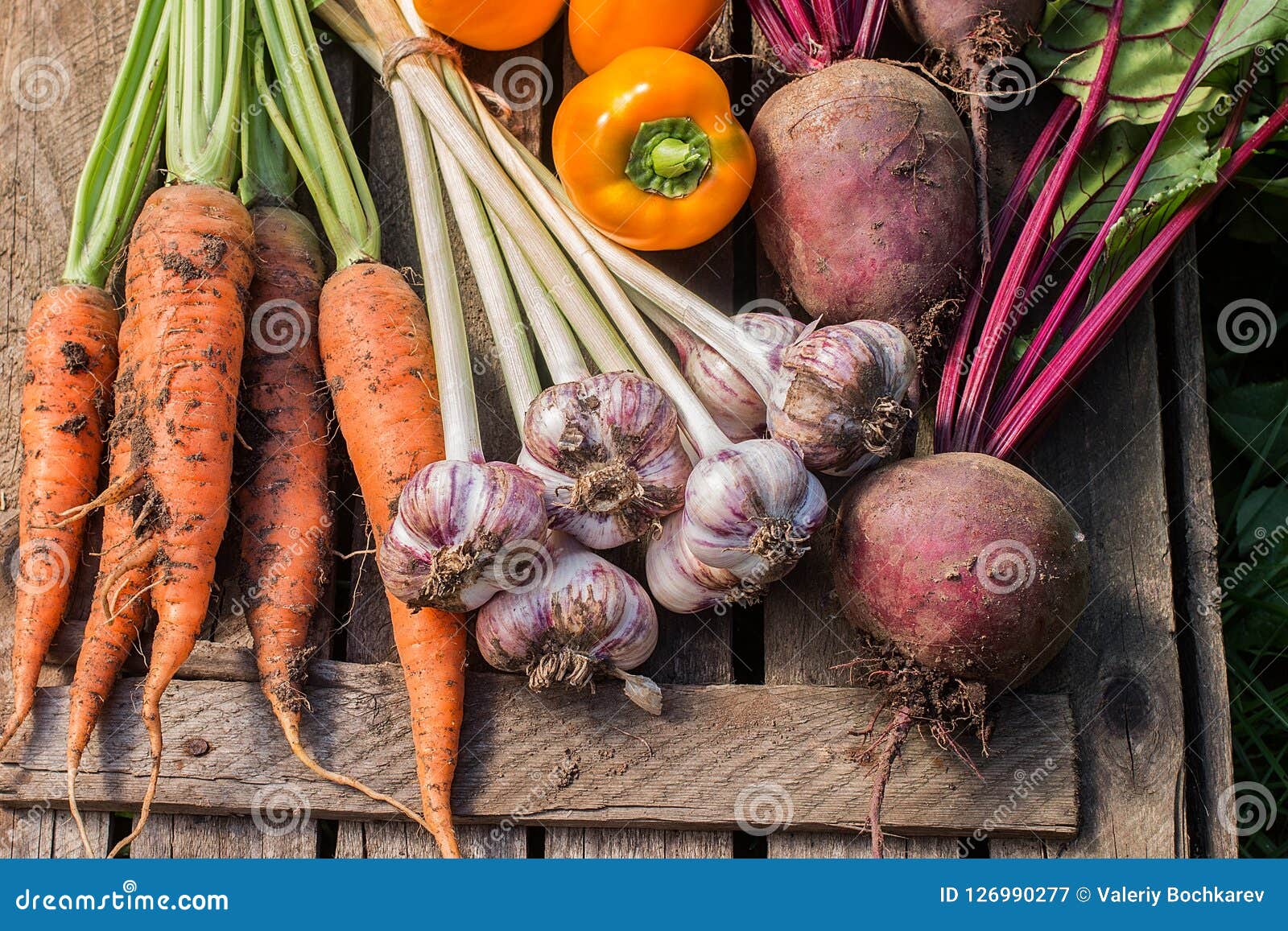 Fresh Vegetables on Rustic Table. Vegetables Harvest Stock Image ...