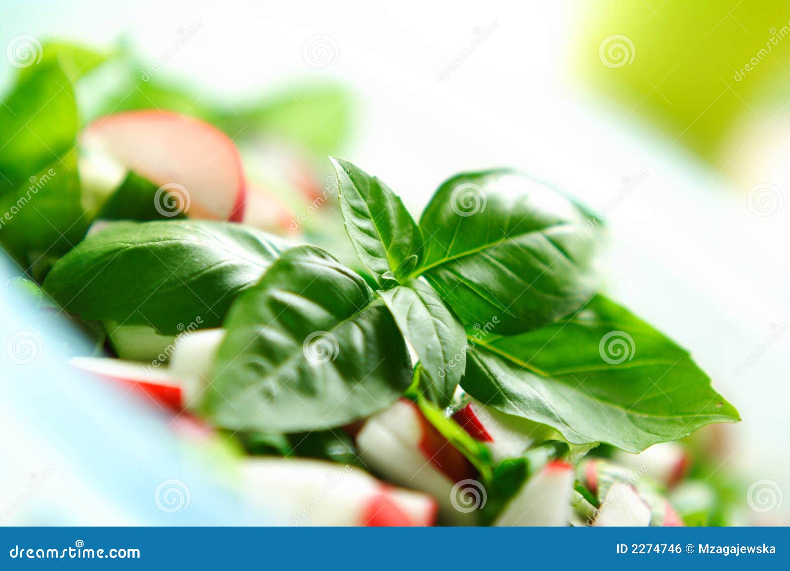 Fresh vegetables salat stock photo. Image of kitchen, vegetarian - 2274746