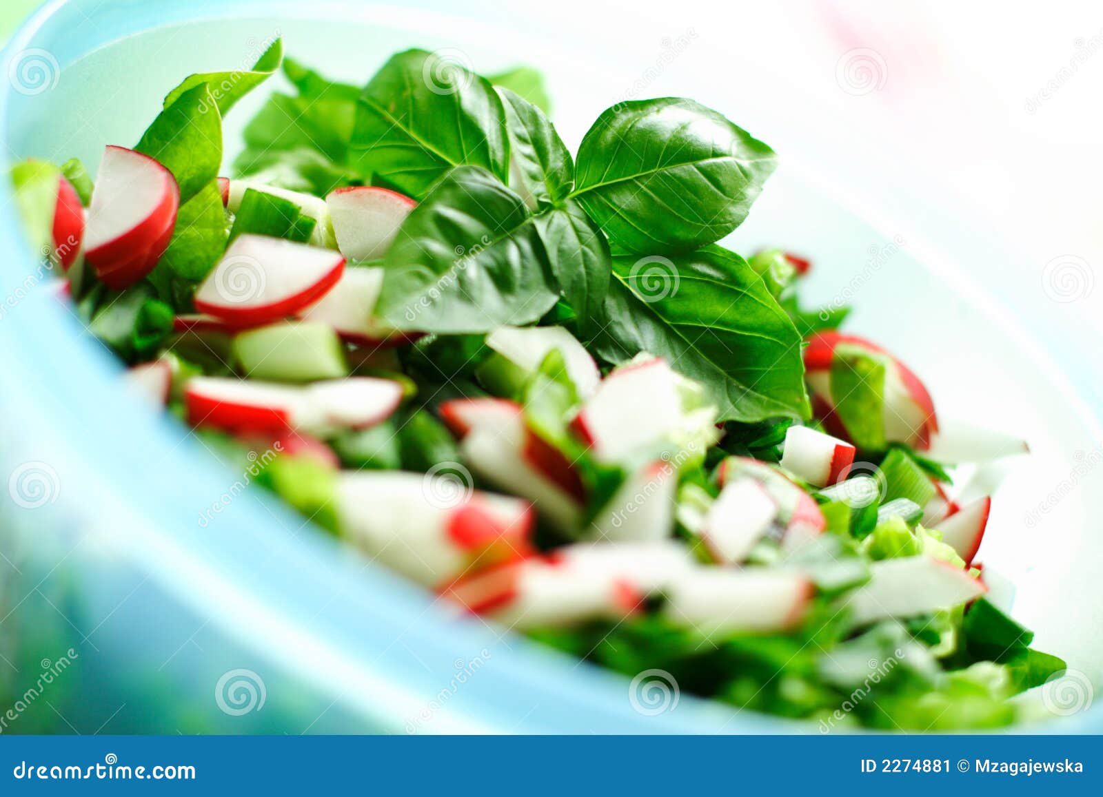 Fresh vegetables salat stock image. Image of chive, closeup - 2274881