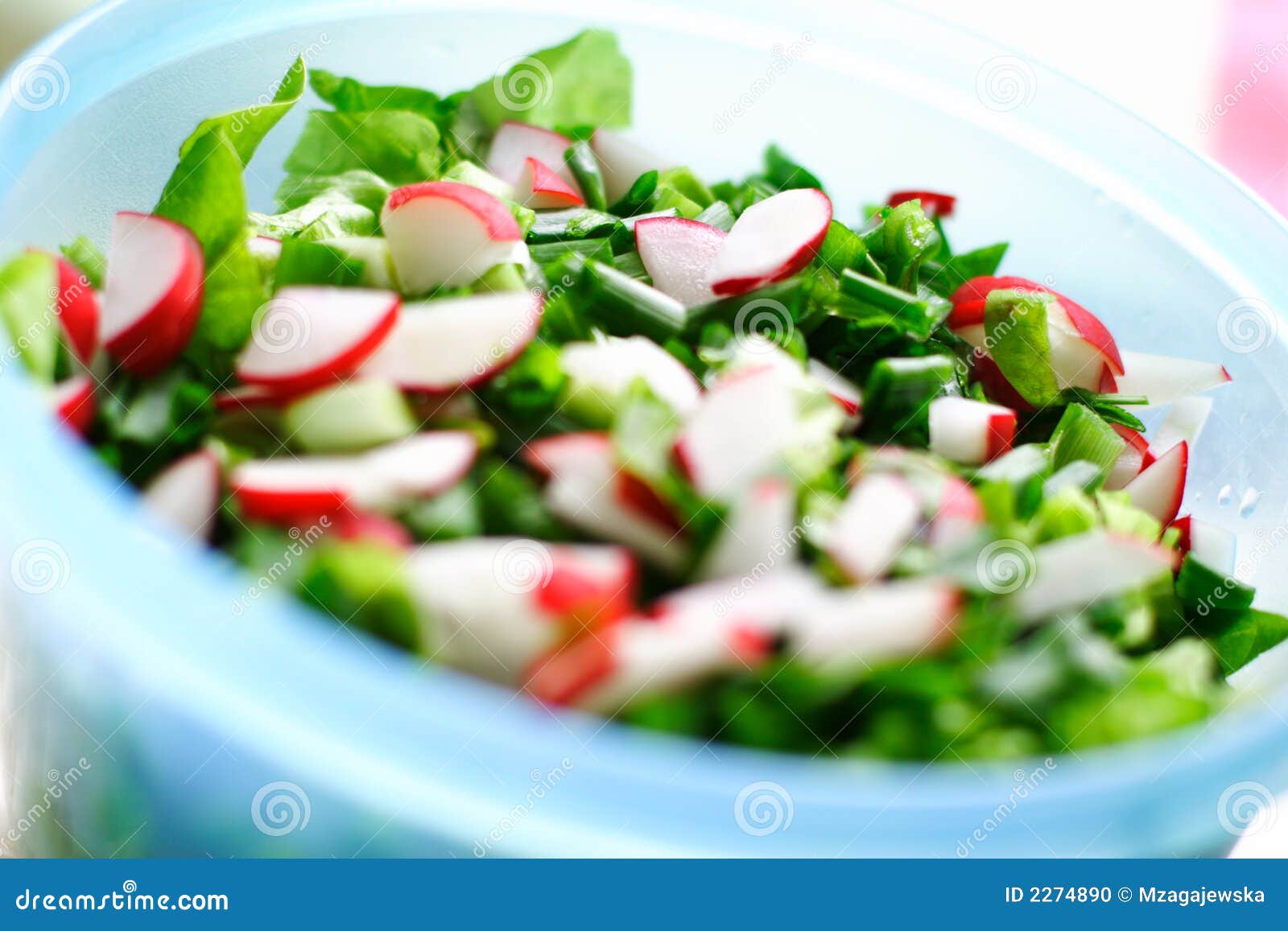 Fresh vegetables salat stock photo. Image of food, green - 2274890