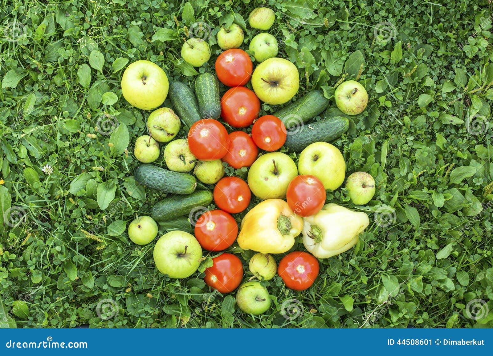 Fresh Vegetables Scattered on the Grass. Stock Image - Image of natural ...