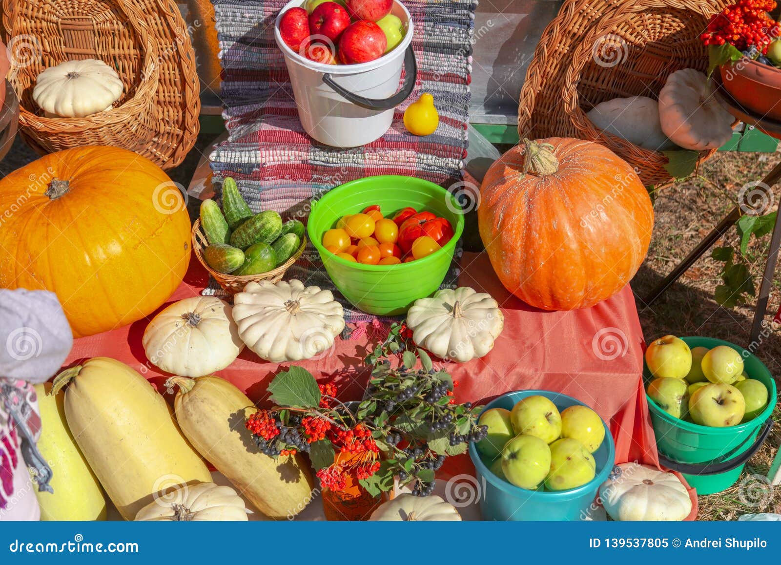 Fresh Vegetables are Sold at the Fair in the Fall Stock Image - Image ...