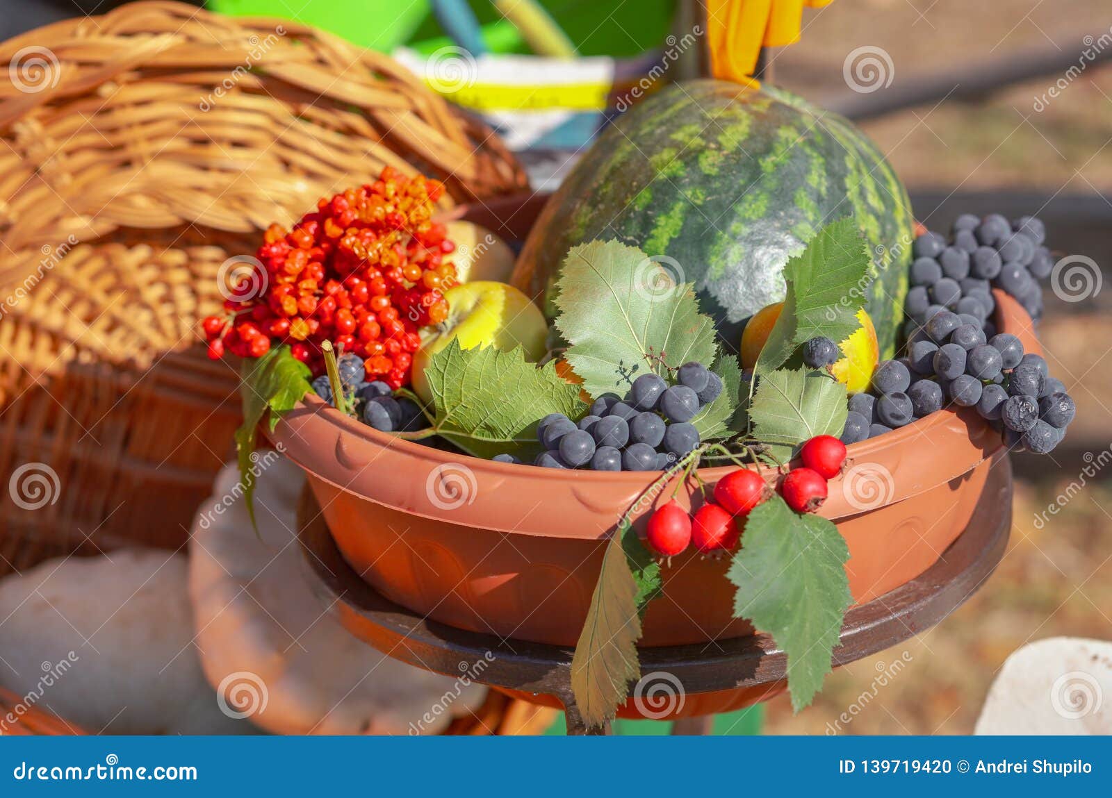 Fresh Vegetables are Sold at the Fair in the Fall Stock Photo - Image ...