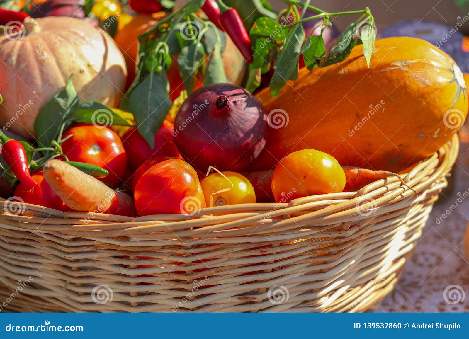 Fresh Vegetables are Sold at the Fair in the Fall Stock Photo - Image ...
