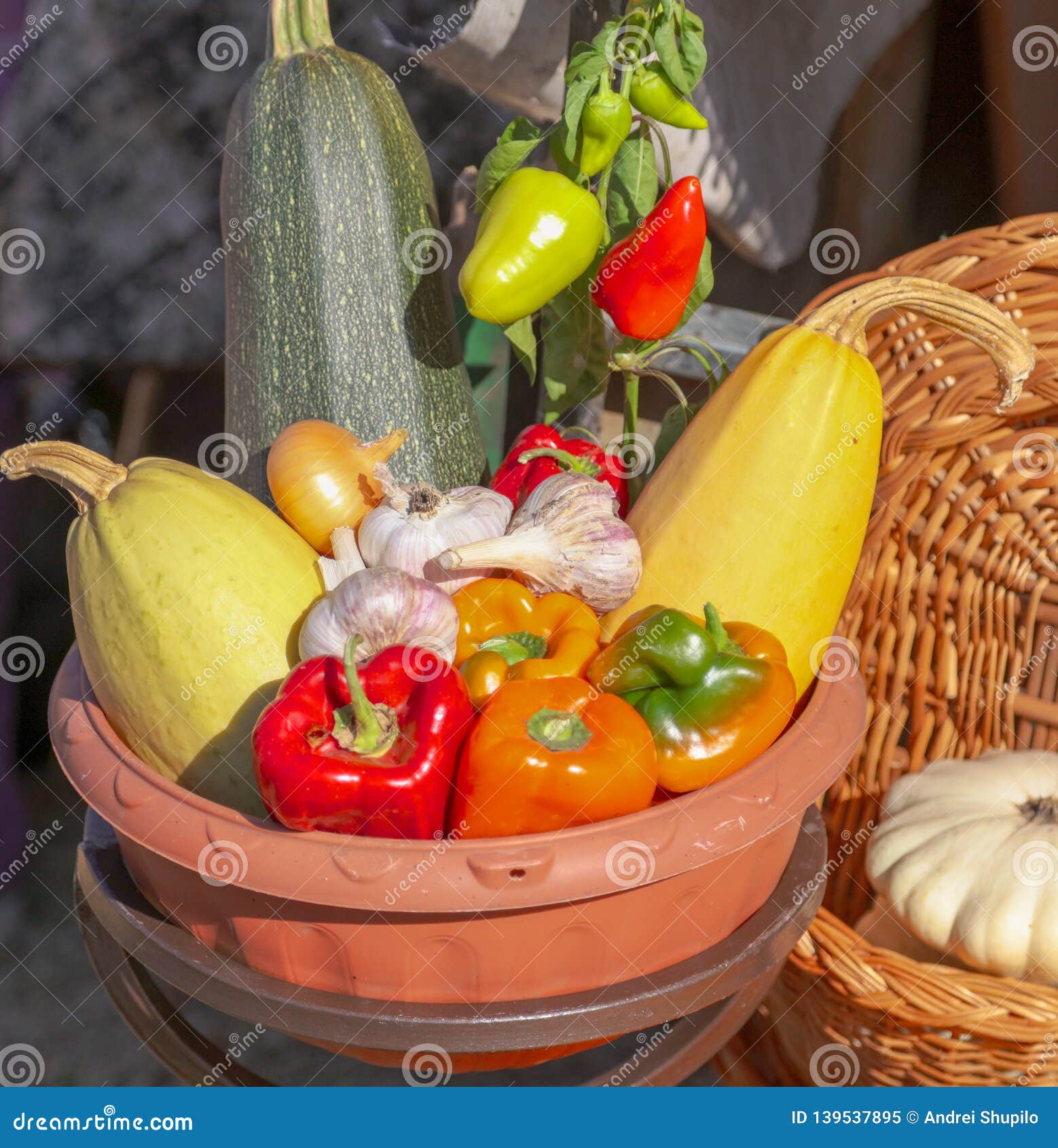 Fresh Vegetables are Sold at the Fair in the Fall Stock Image - Image ...