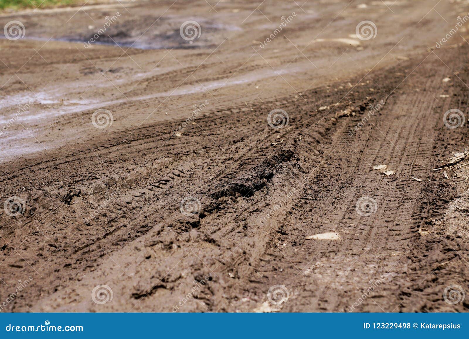 Fresh Vehicle Tracks Impressed into Wet Spring Mud Soil Perspective ...