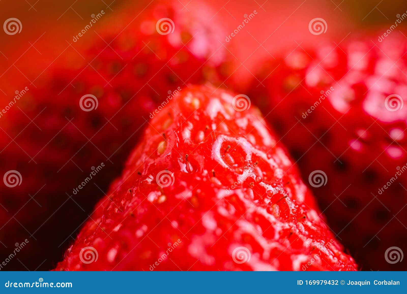 Fresh Very Sweet Red Strawberries, Summer Fruit Stock Photo - Image of ...