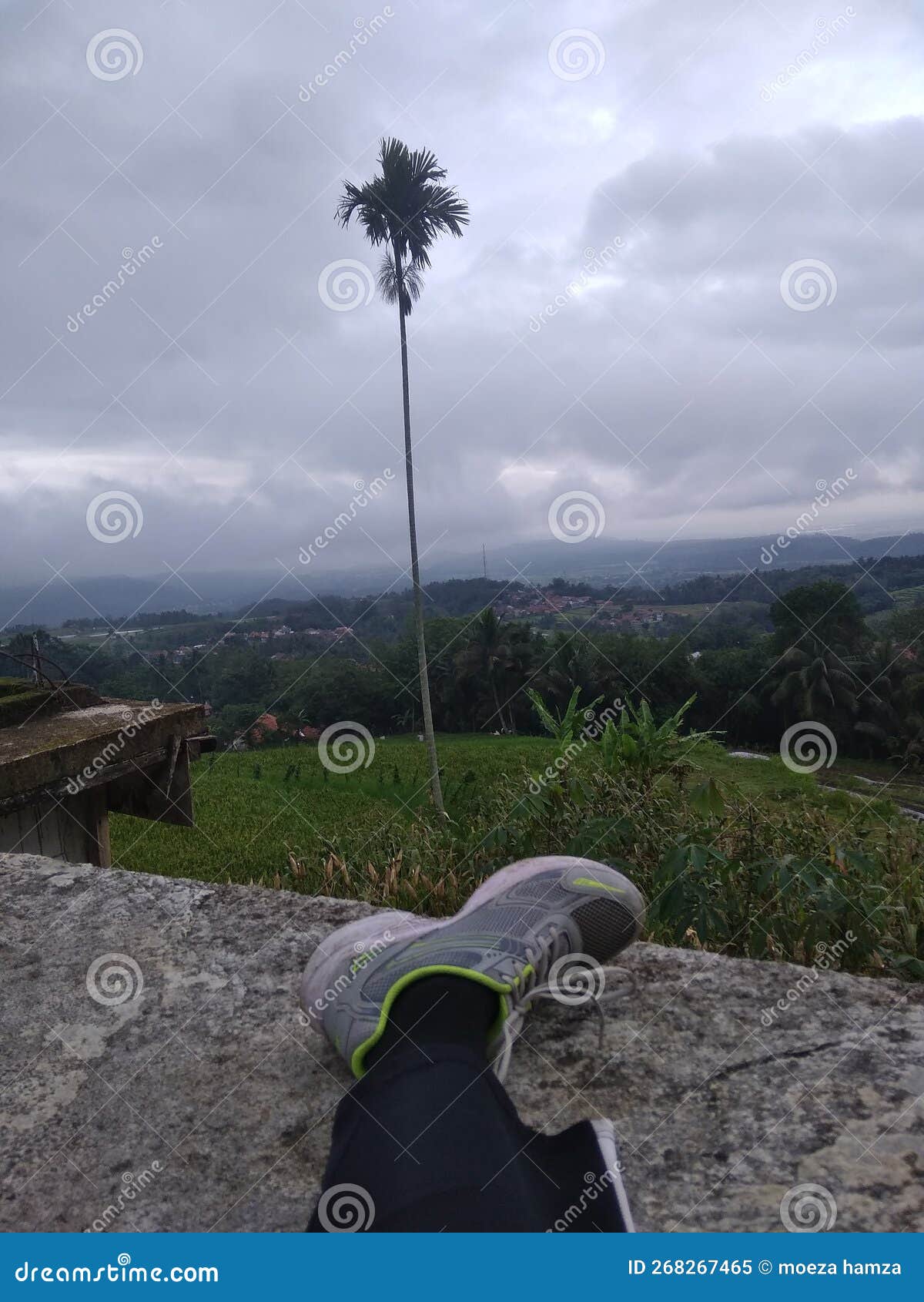 Fresh View of the Village in the Morning Stock Image - Image of nature ...