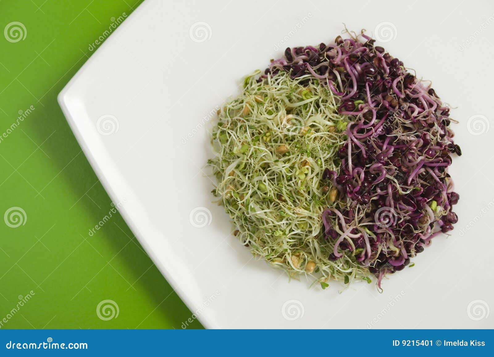 Fresh Violet and Green Germ in Yin-yang Form Stock Image - Image of ...