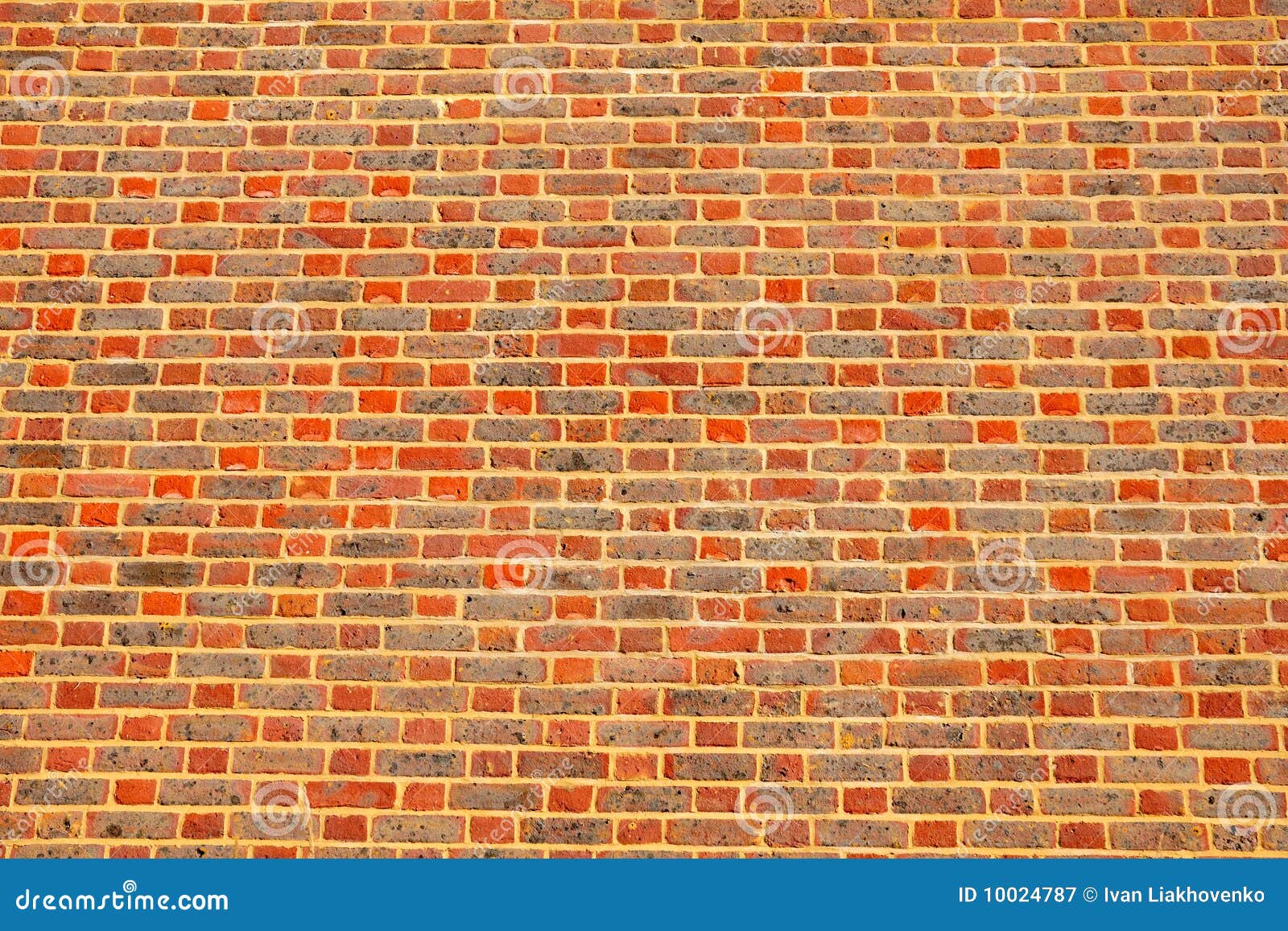 Fresh and vivid brick wall stock image. Image of building - 10024787