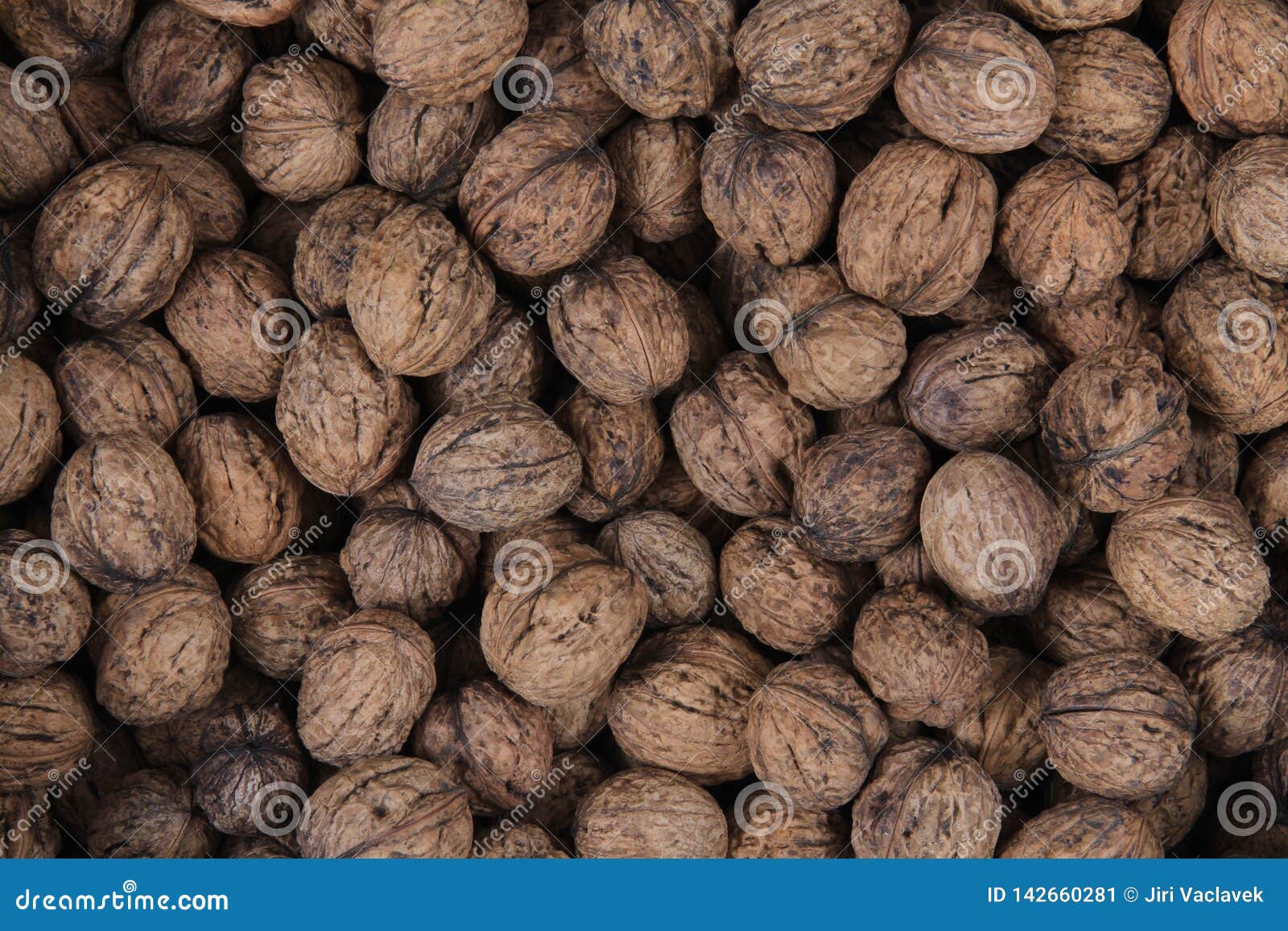 Fresh wallnuts texture stock image. Image of dried, autumn - 142660281