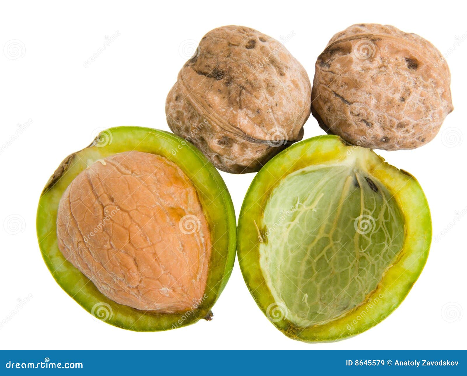 Fresh walnut stock image. Image of healthy, food, tasty - 8645579
