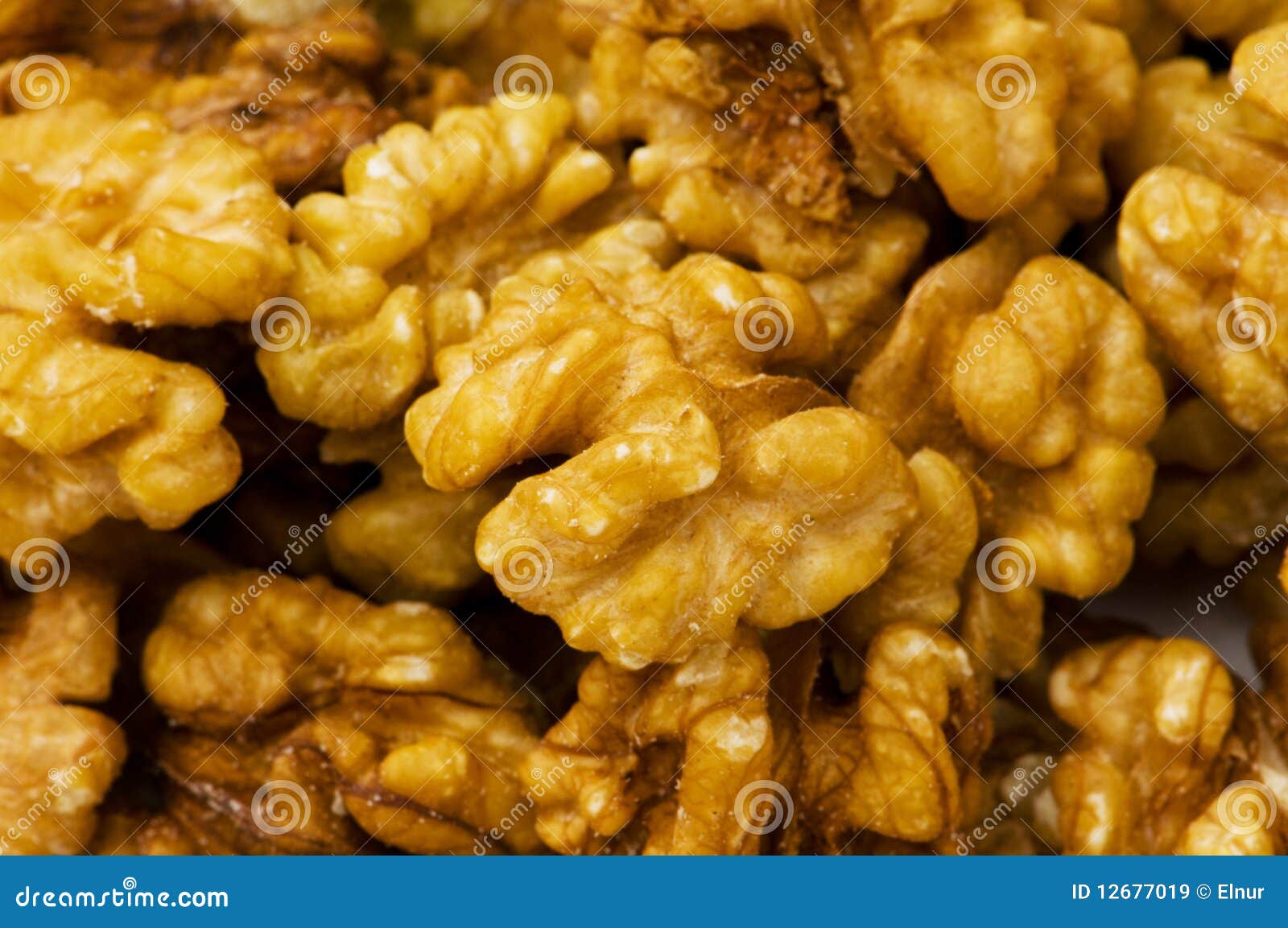 Fresh walnut nuts isolated stock image. Image of nutrition - 12677019